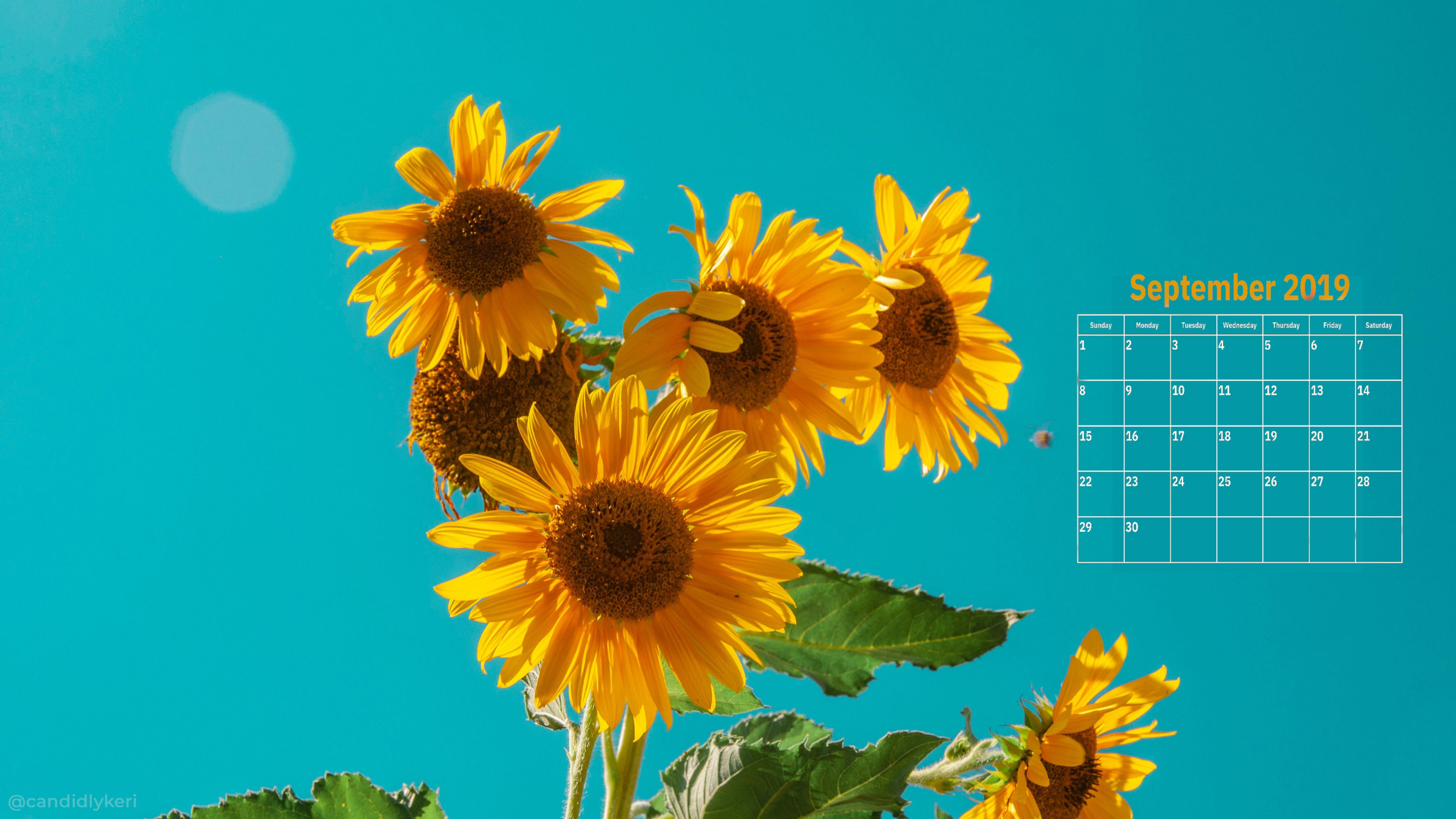 Environmental Science Wallpapers - Top Free Environmental Science ...