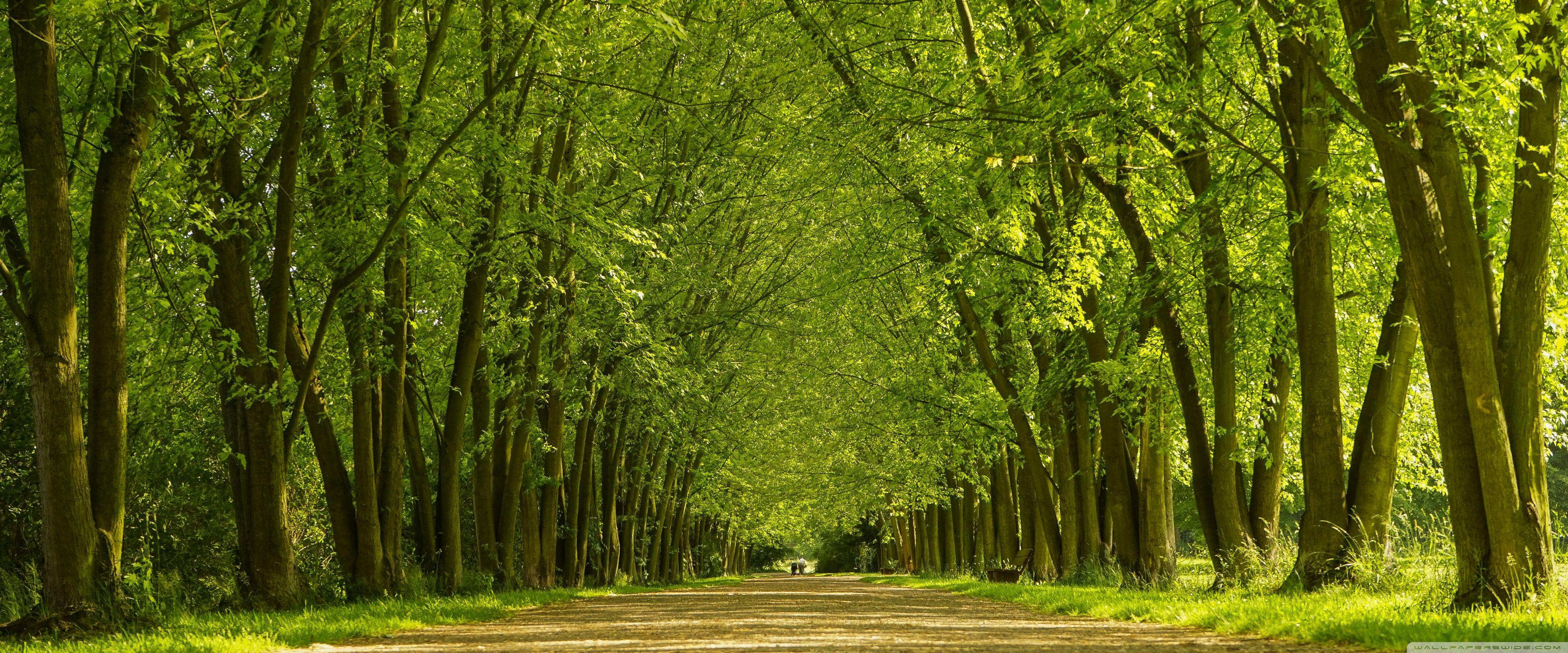 3840X1600 Nature Wallpapers - Top Free 3840X1600 Nature Backgrounds ...