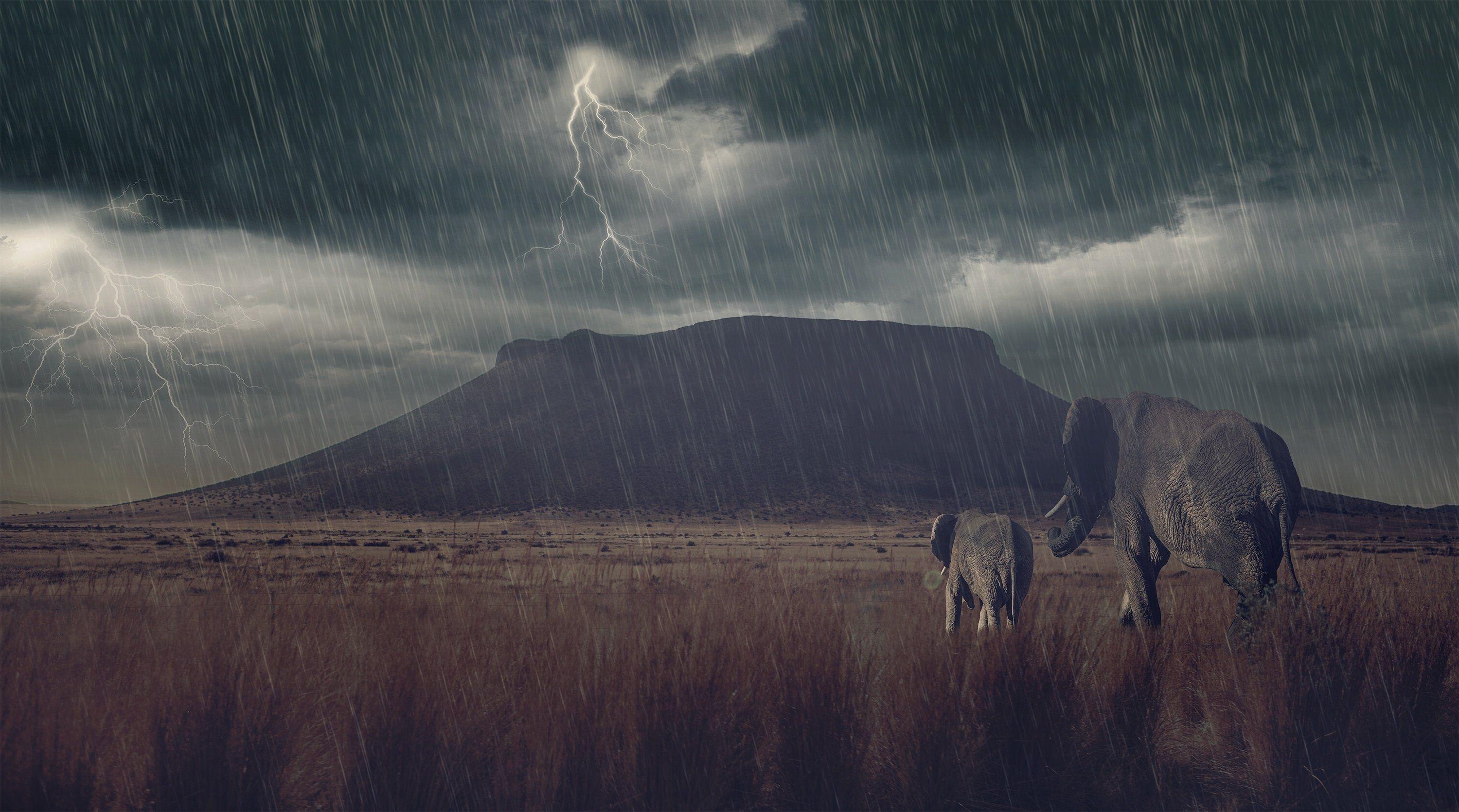 Rainy Mountain Wallpapers - Top Free Rainy Mountain Backgrounds ...