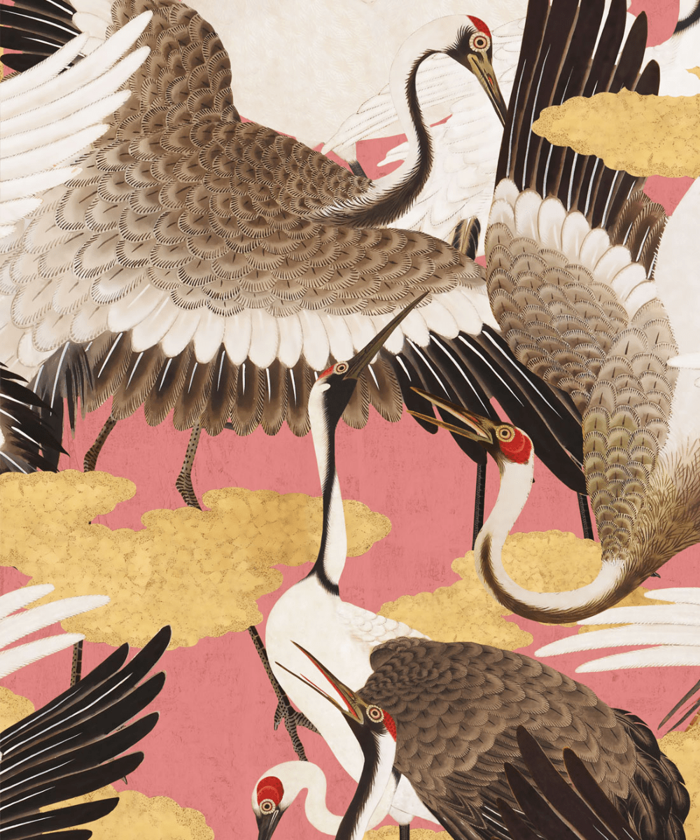 Crane Bird Wallpapers - Top Free Crane Bird Backgrounds - WallpaperAccess