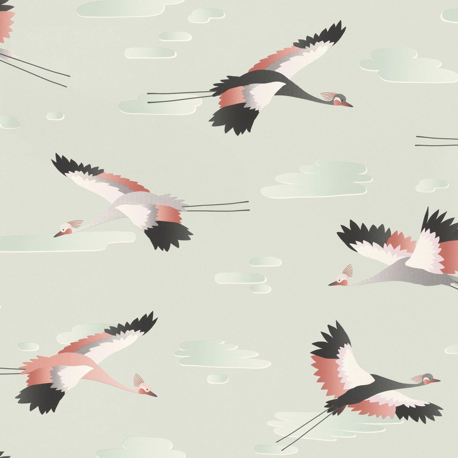 Crane Bird Wallpapers - Top Free Crane Bird Backgrounds - WallpaperAccess