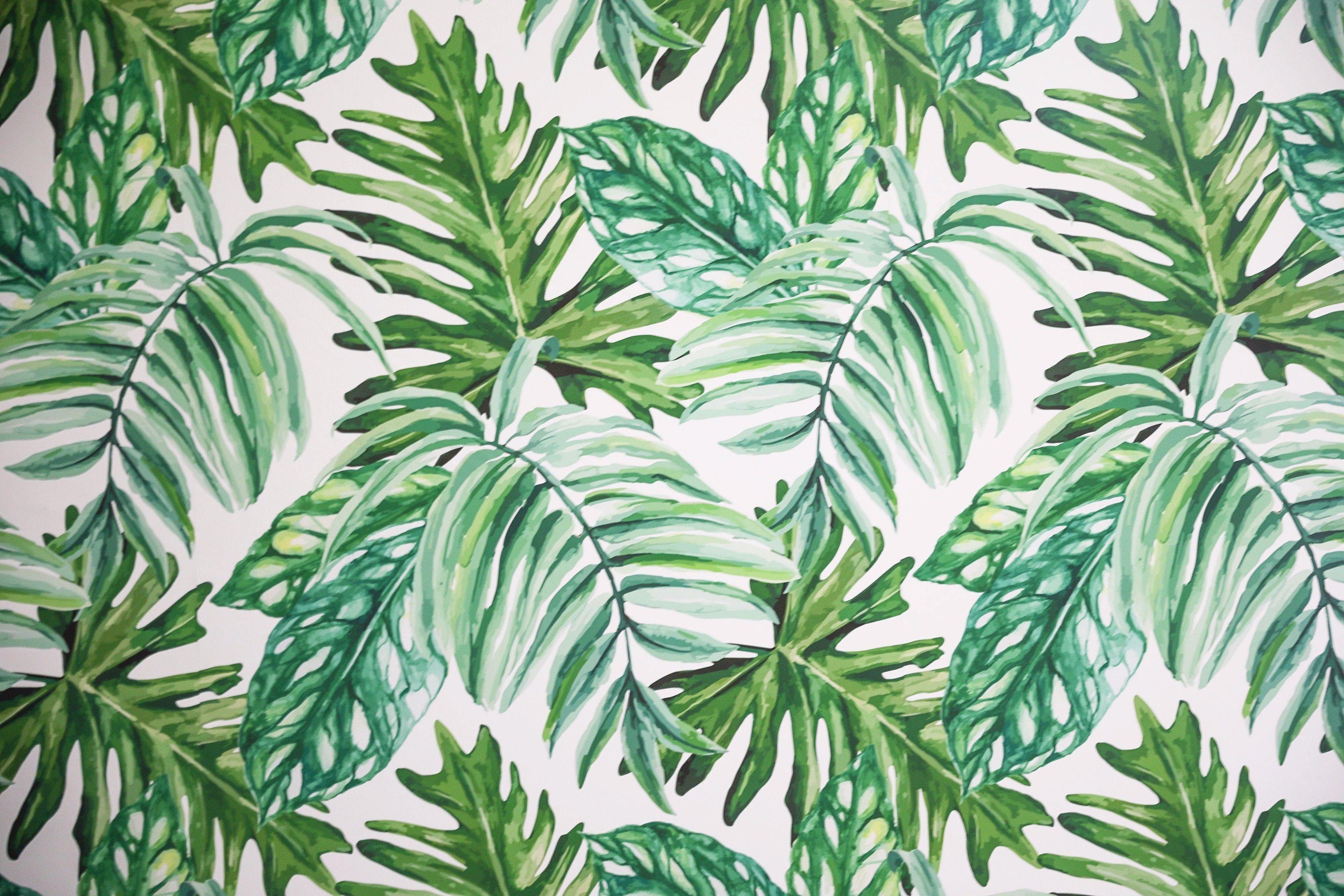 Watercolor Leaves Desktop Wallpapers Top Free Watercolor Leaves