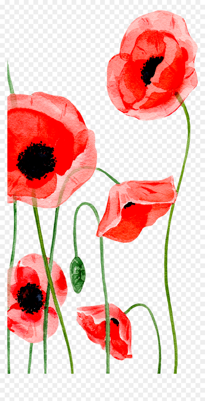 Remembrance Day Wallpapers - Top Free Remembrance Day Backgrounds ...
