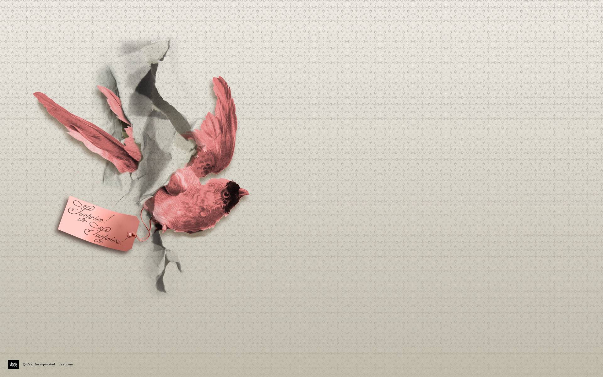 Abstract Birds Wallpapers - Top Free Abstract Birds Backgrounds ...