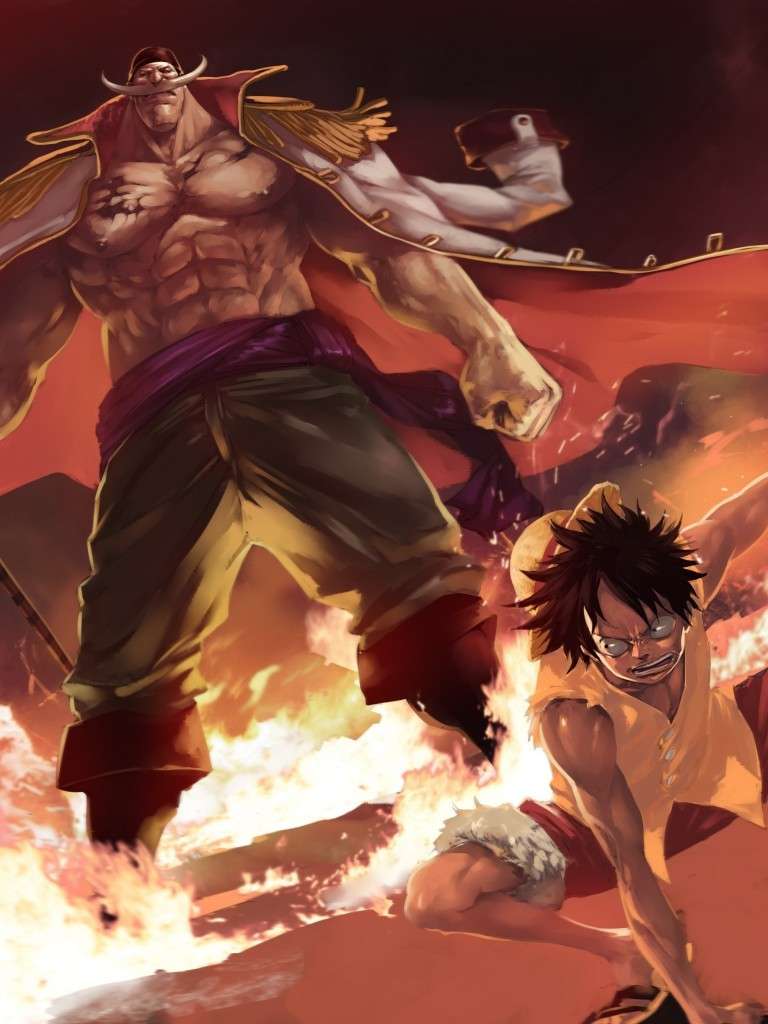 One Piece Fire Wallpapers - Top Free One Piece Fire Backgrounds ...