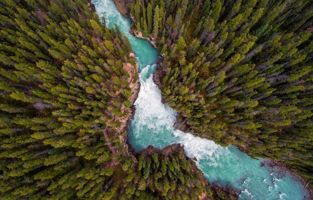 Drone Forest Wallpapers - Top Free Drone Forest Backgrounds ...