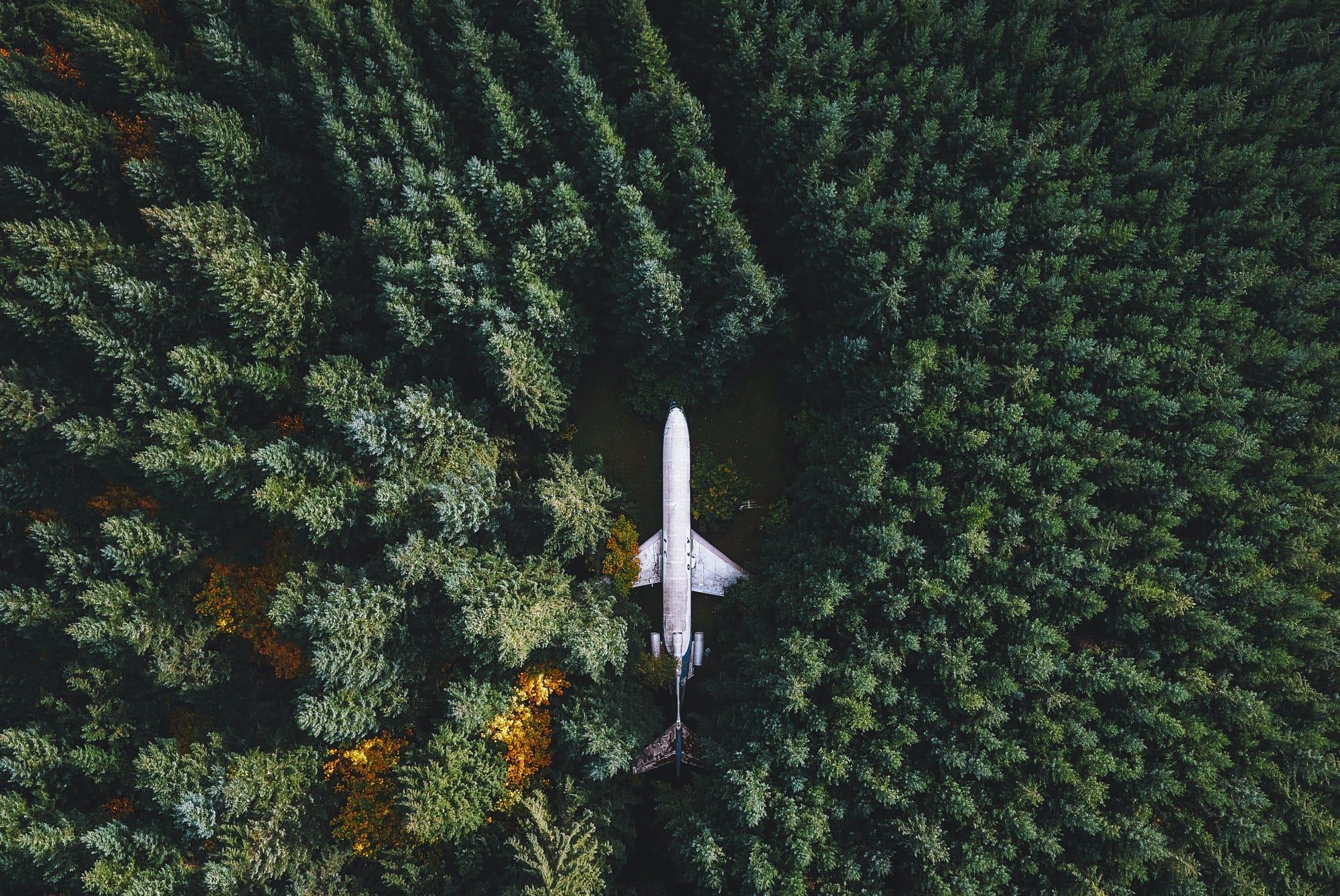 Drone Forest Wallpapers - Top Free Drone Forest Backgrounds ...