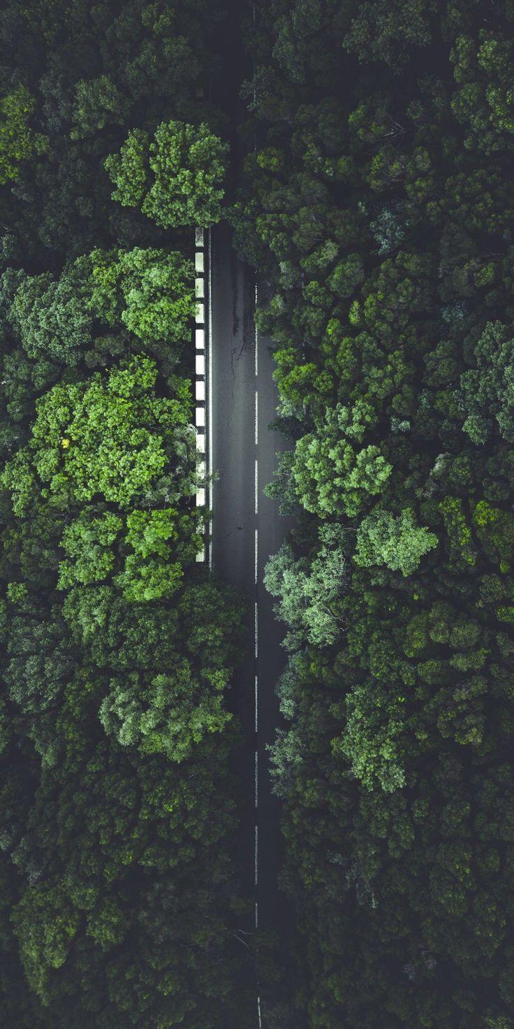 Drone Forest Wallpapers - Top Free Drone Forest Backgrounds ...
