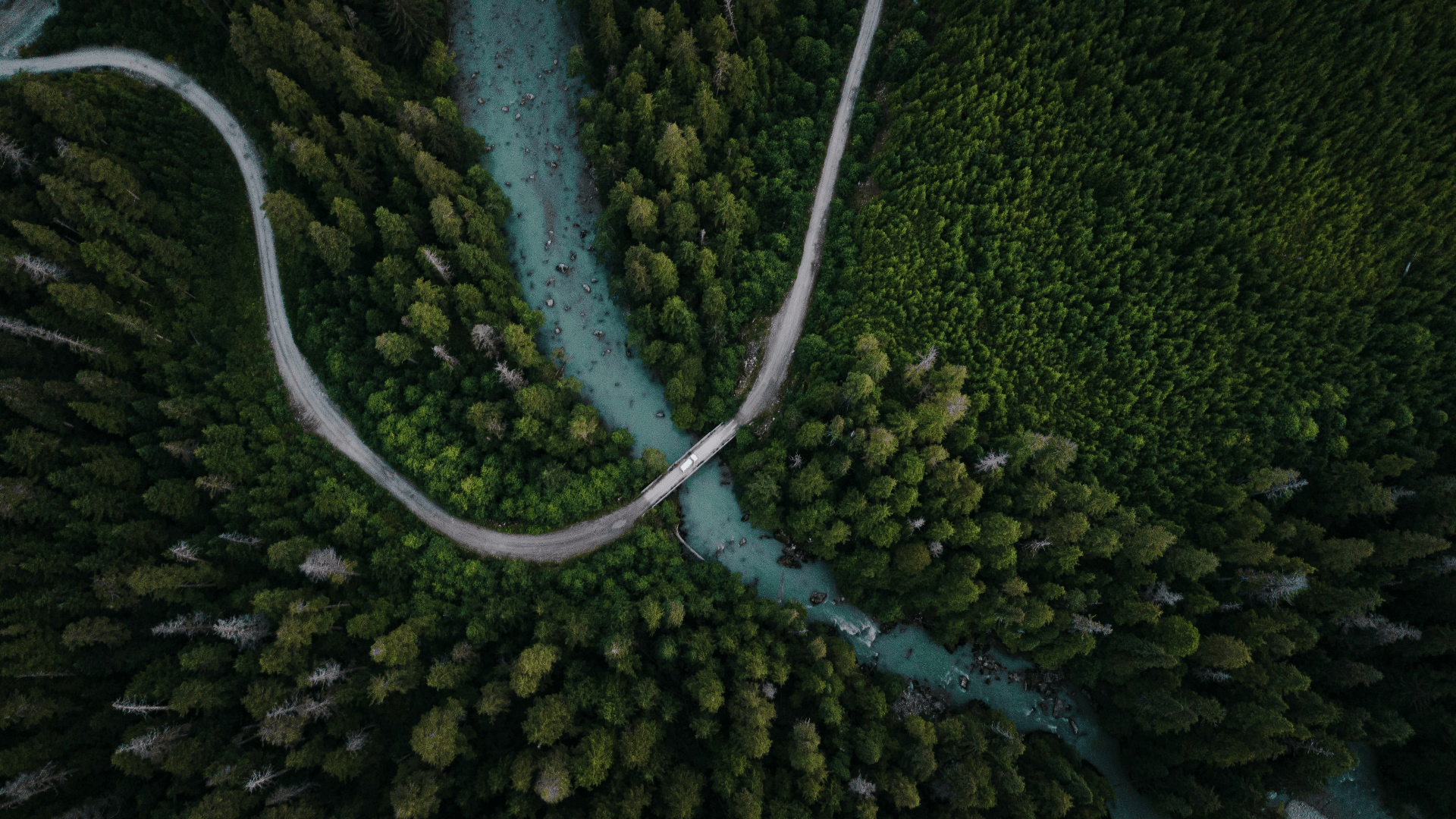 Drone Forest Wallpapers - Top Free Drone Forest Backgrounds ...