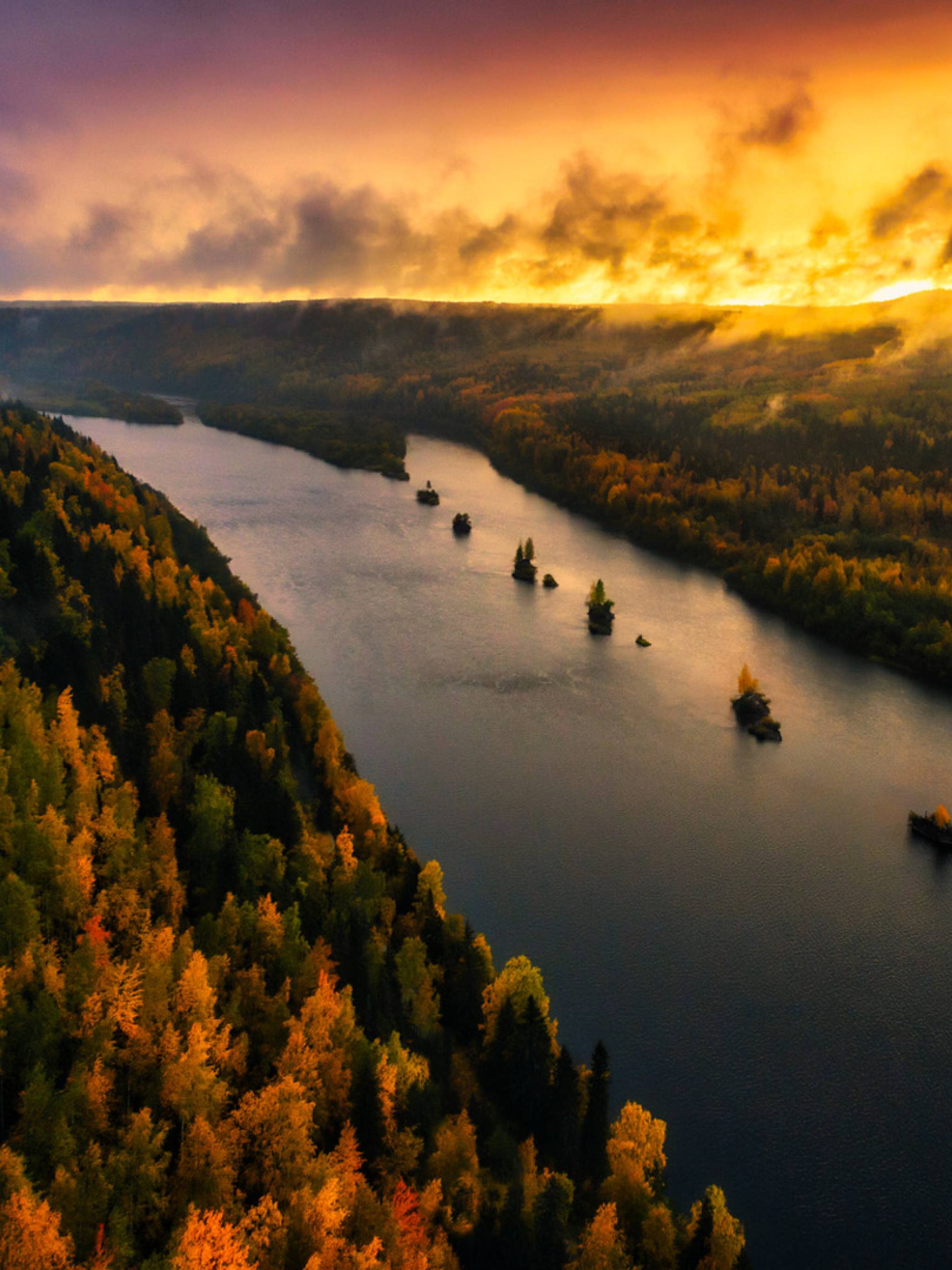 Drone Forest Wallpapers - Top Free Drone Forest Backgrounds ...