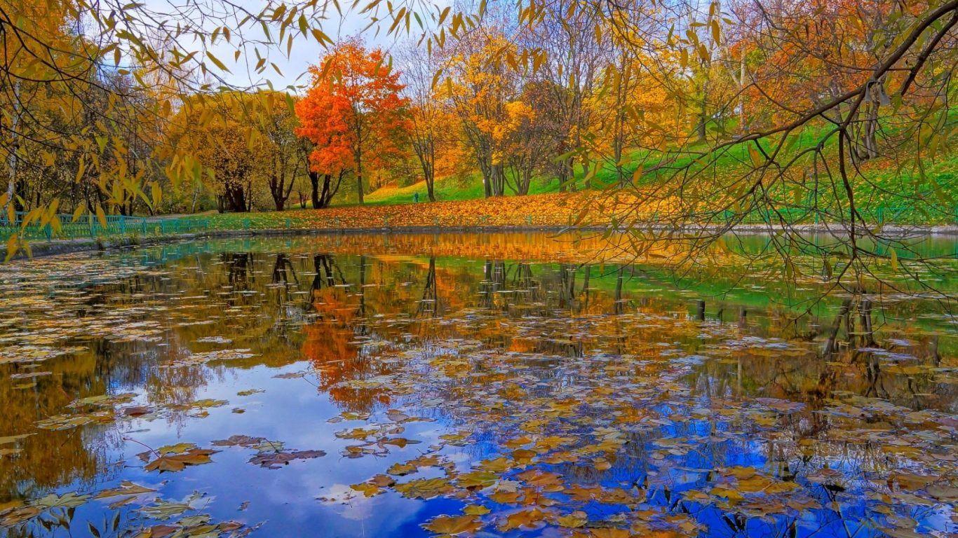 Korea Fall Wallpapers - Top Free Korea Fall Backgrounds - WallpaperAccess