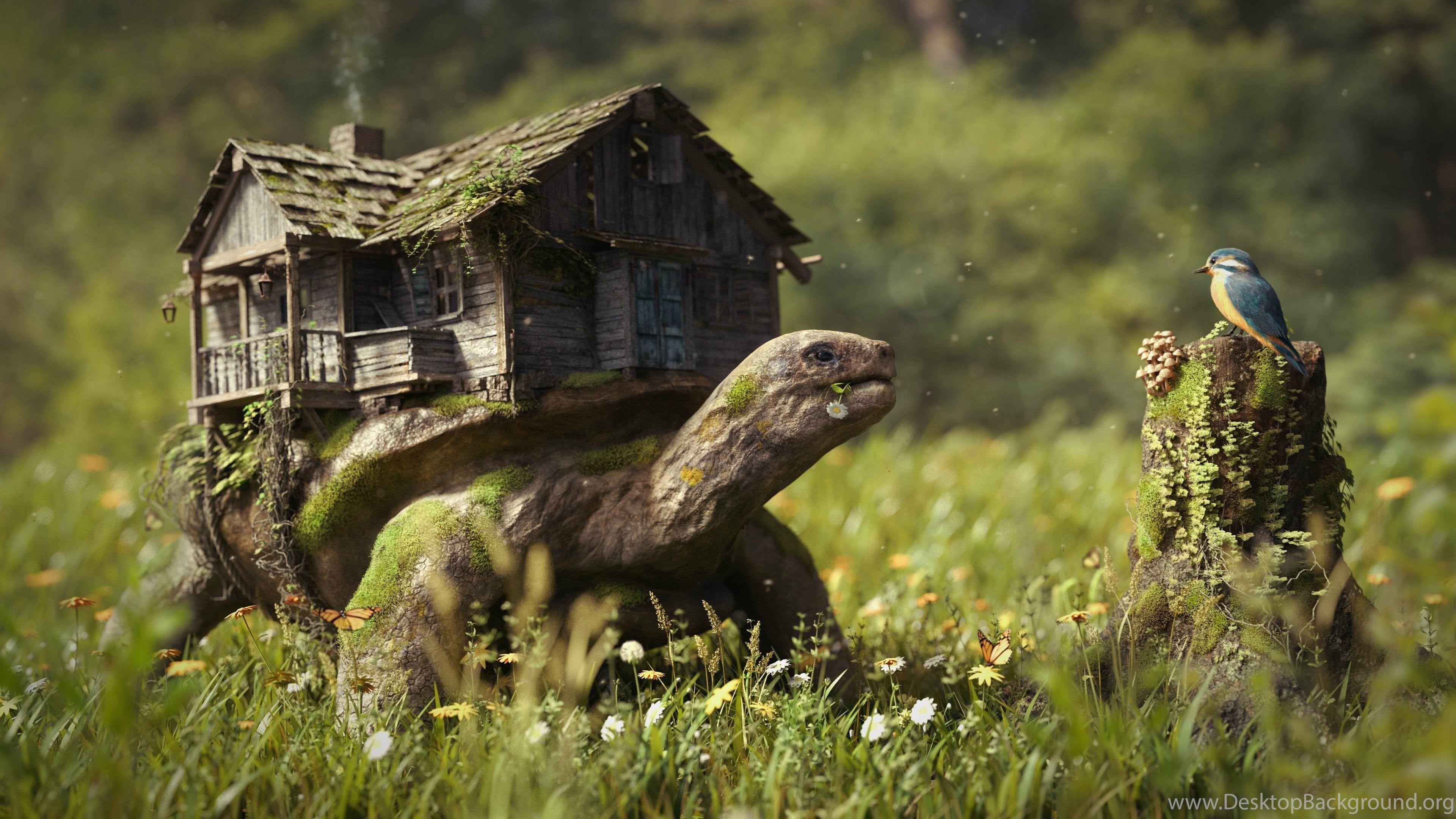 World of Warcraft Monk Wallpapers - Top Free World of Warcraft Monk ...