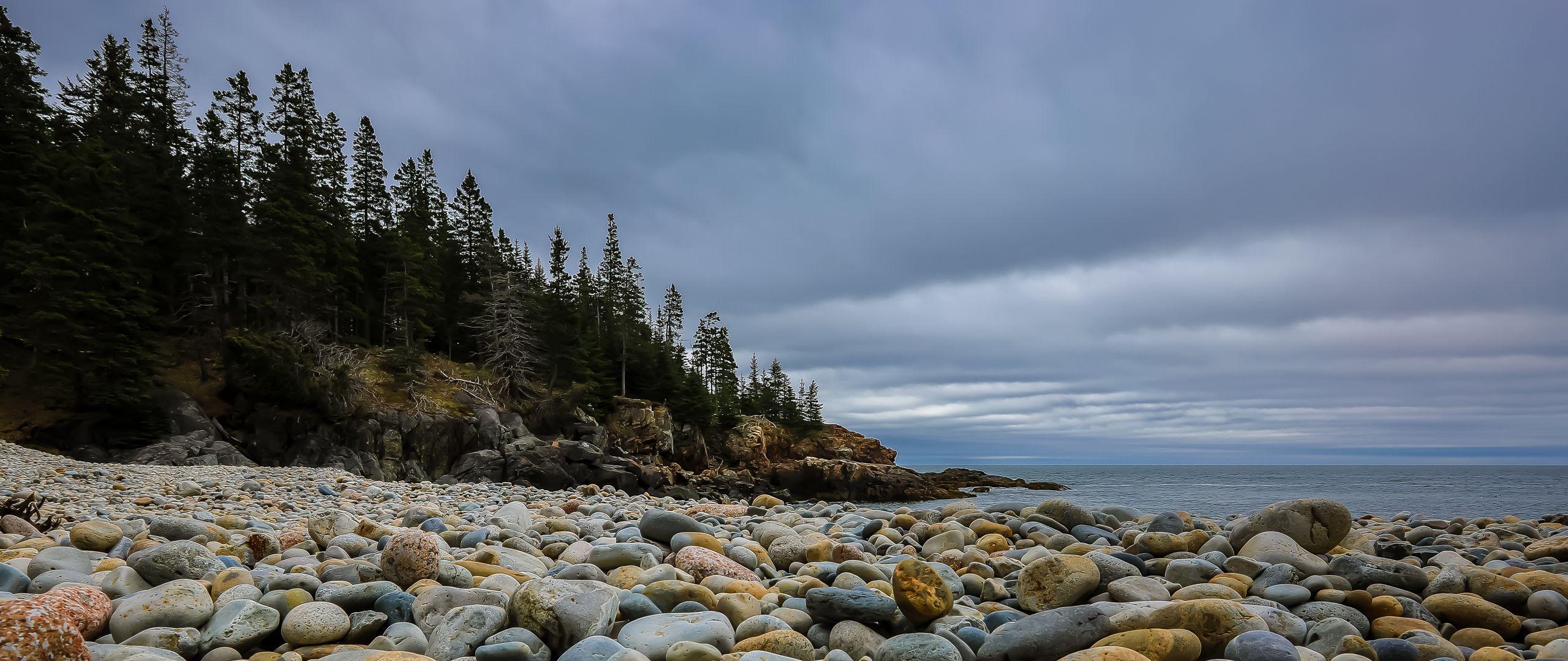 Beach Forest Wallpapers - Top Free Beach Forest Backgrounds ...