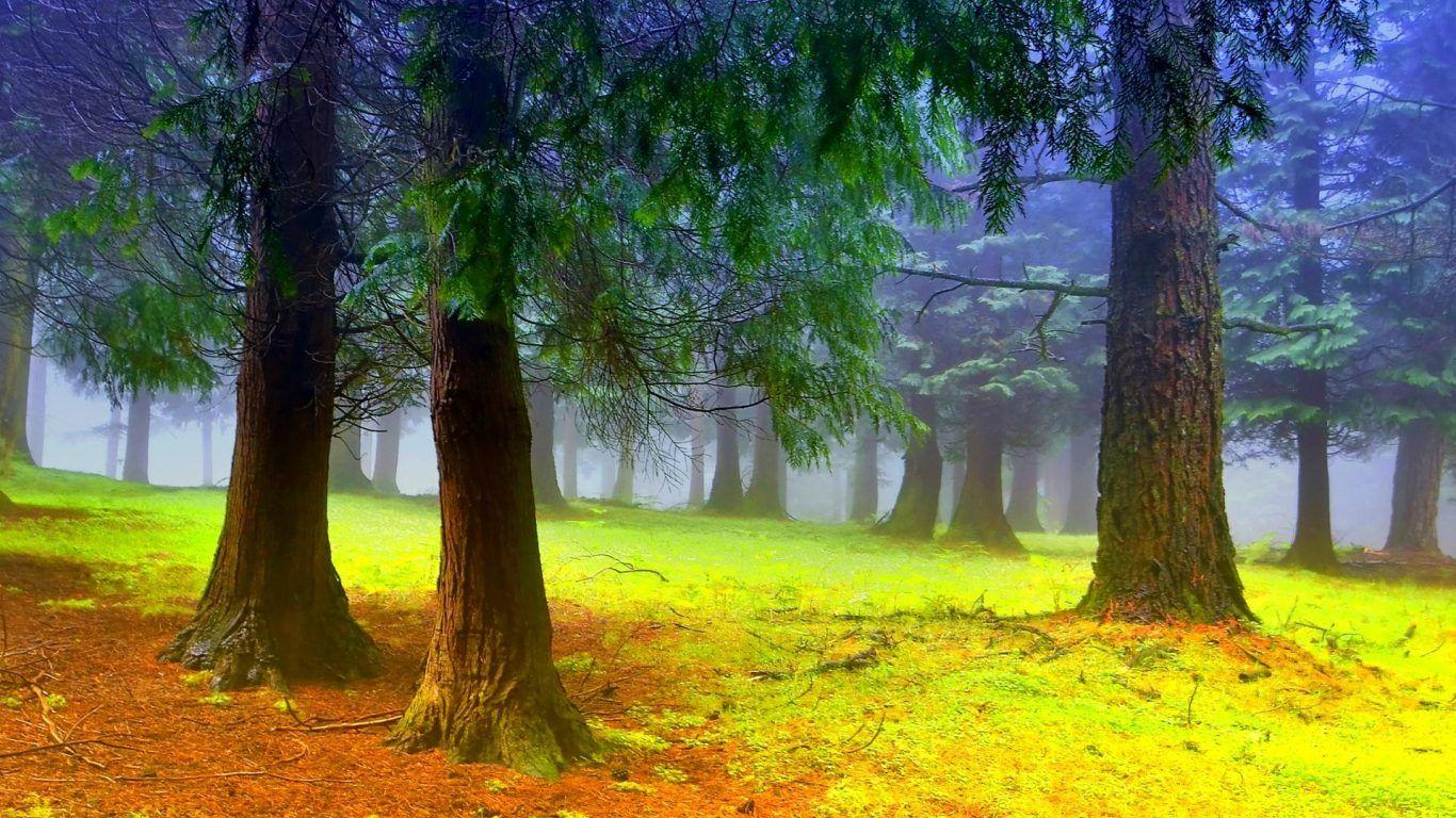 Cartoon Forest Desktop Wallpapers - Top Free Cartoon Forest Desktop ...