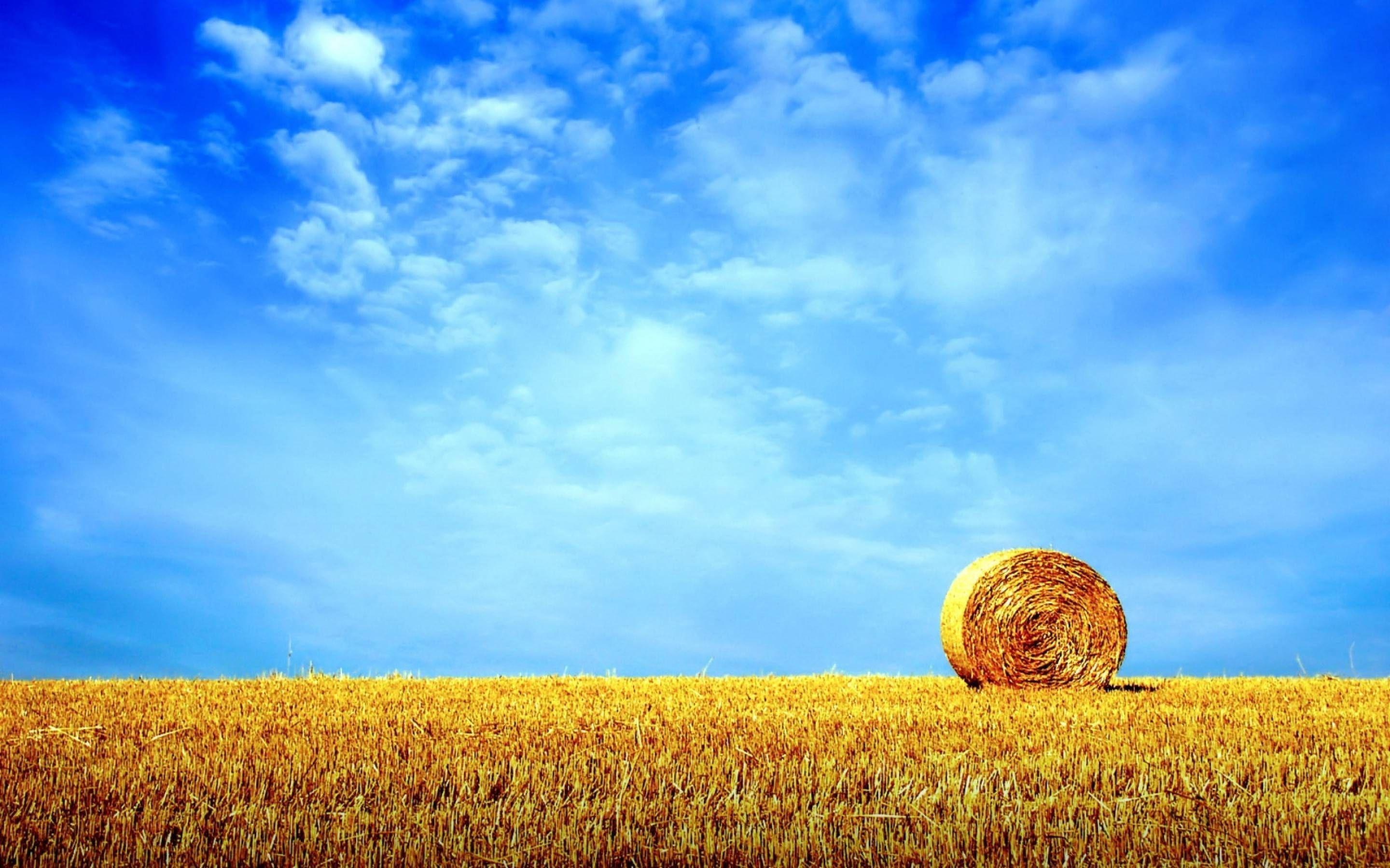 Summer PC Wallpapers - Top Free Summer PC Backgrounds - WallpaperAccess