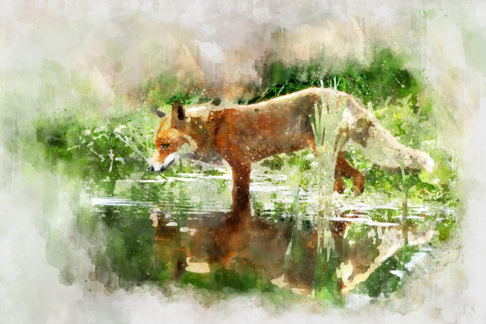 Fox Watercolor Wallpapers - Top Free Fox Watercolor Backgrounds ...