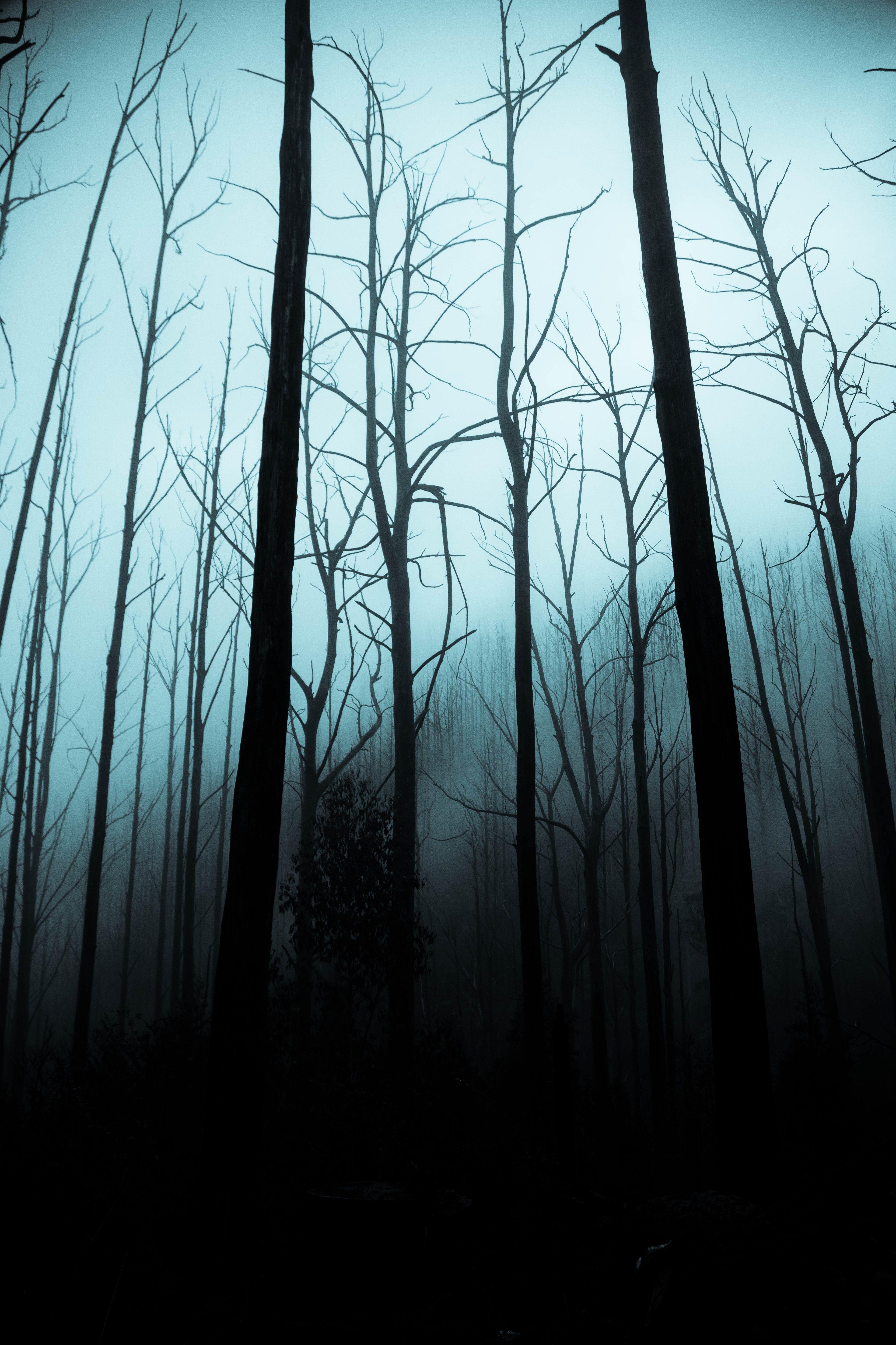 Dark Moody Wallpapers - Top Free Dark Moody Backgrounds - WallpaperAccess