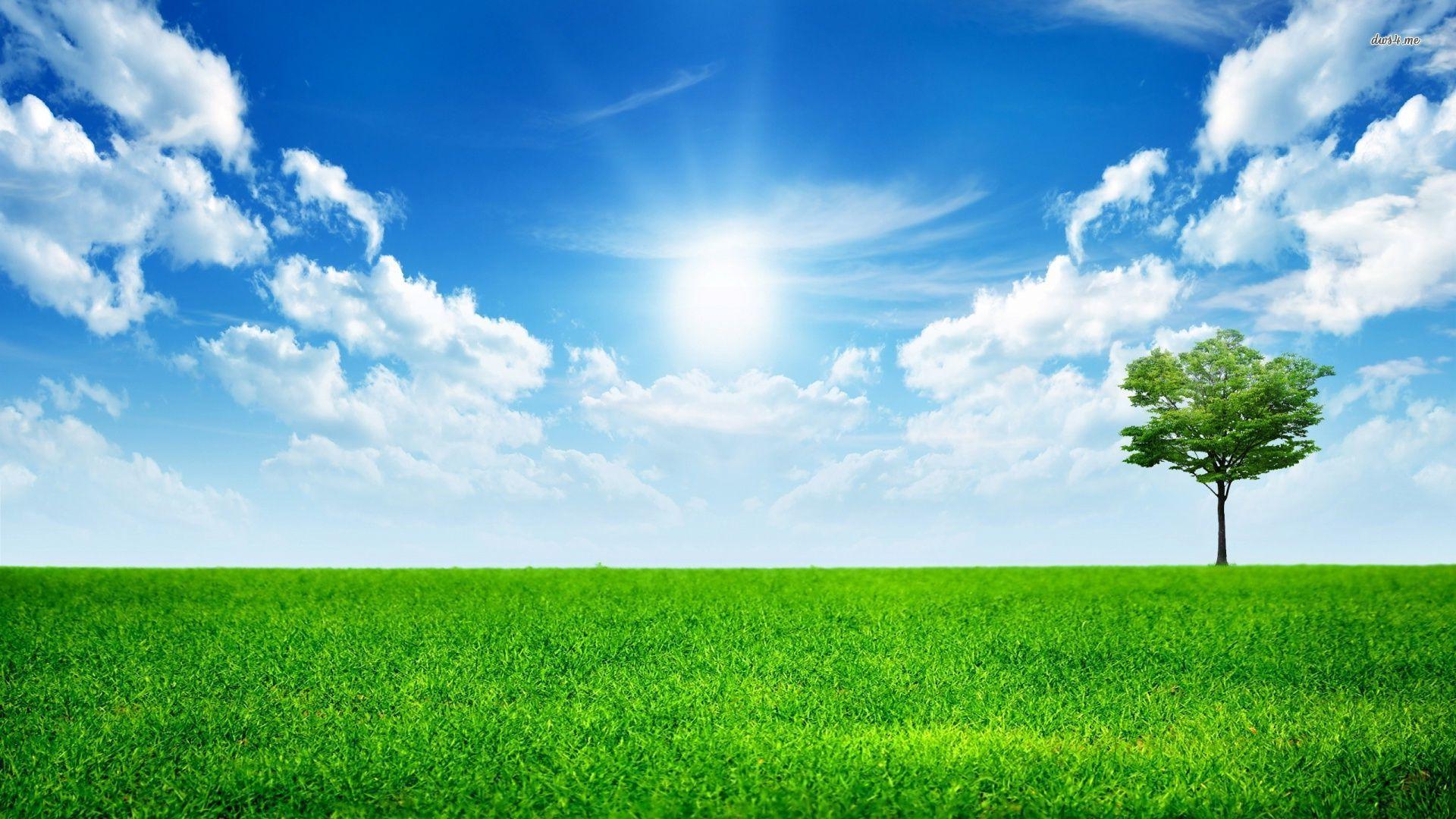 Bright Sunny Day Wallpapers - Top Free Bright Sunny Day Backgrounds ...