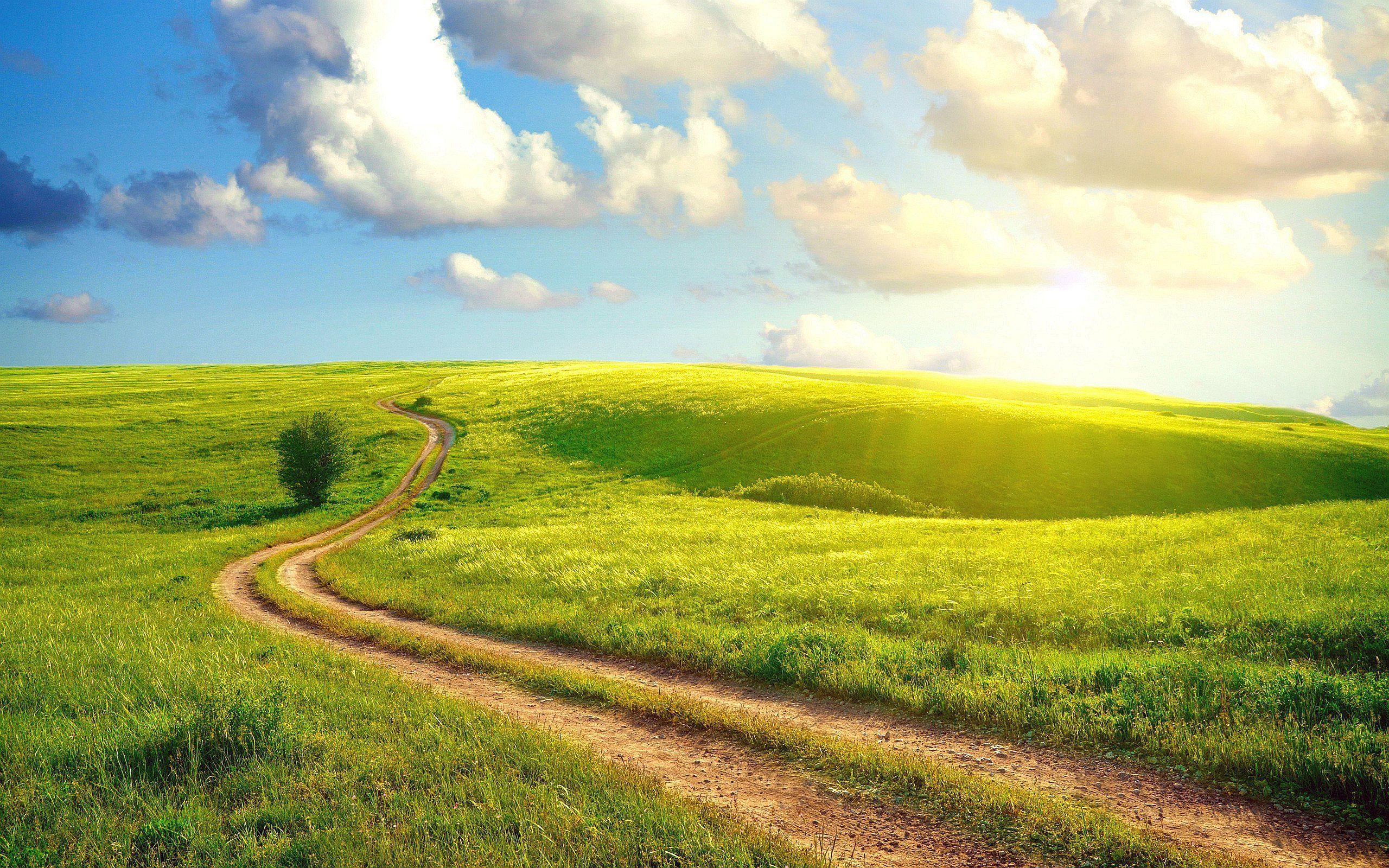 Meadow Desktop Wallpapers - Top Free Meadow Desktop Backgrounds ...