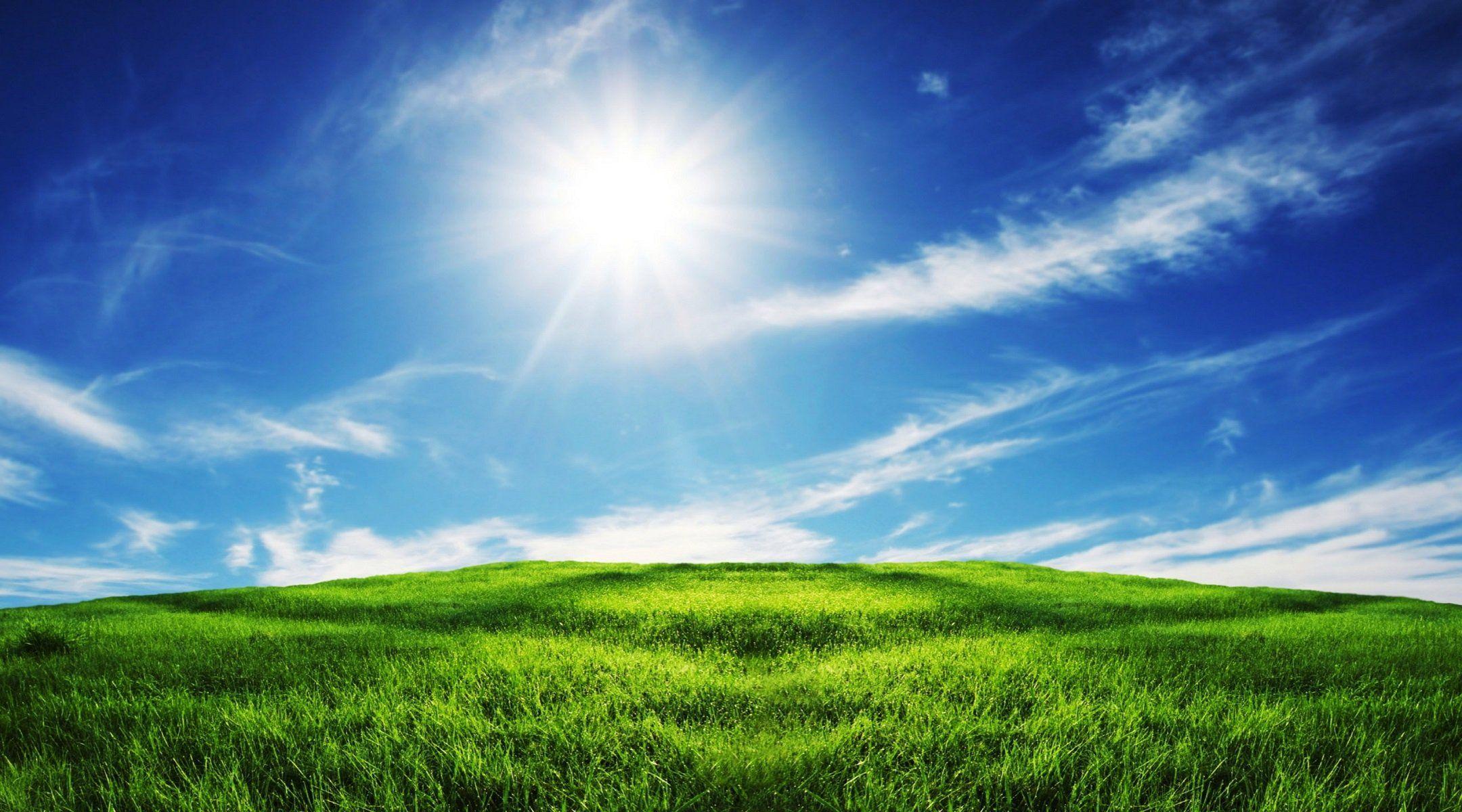 Bright Sunny Day Wallpapers - Top Free Bright Sunny Day Backgrounds ...