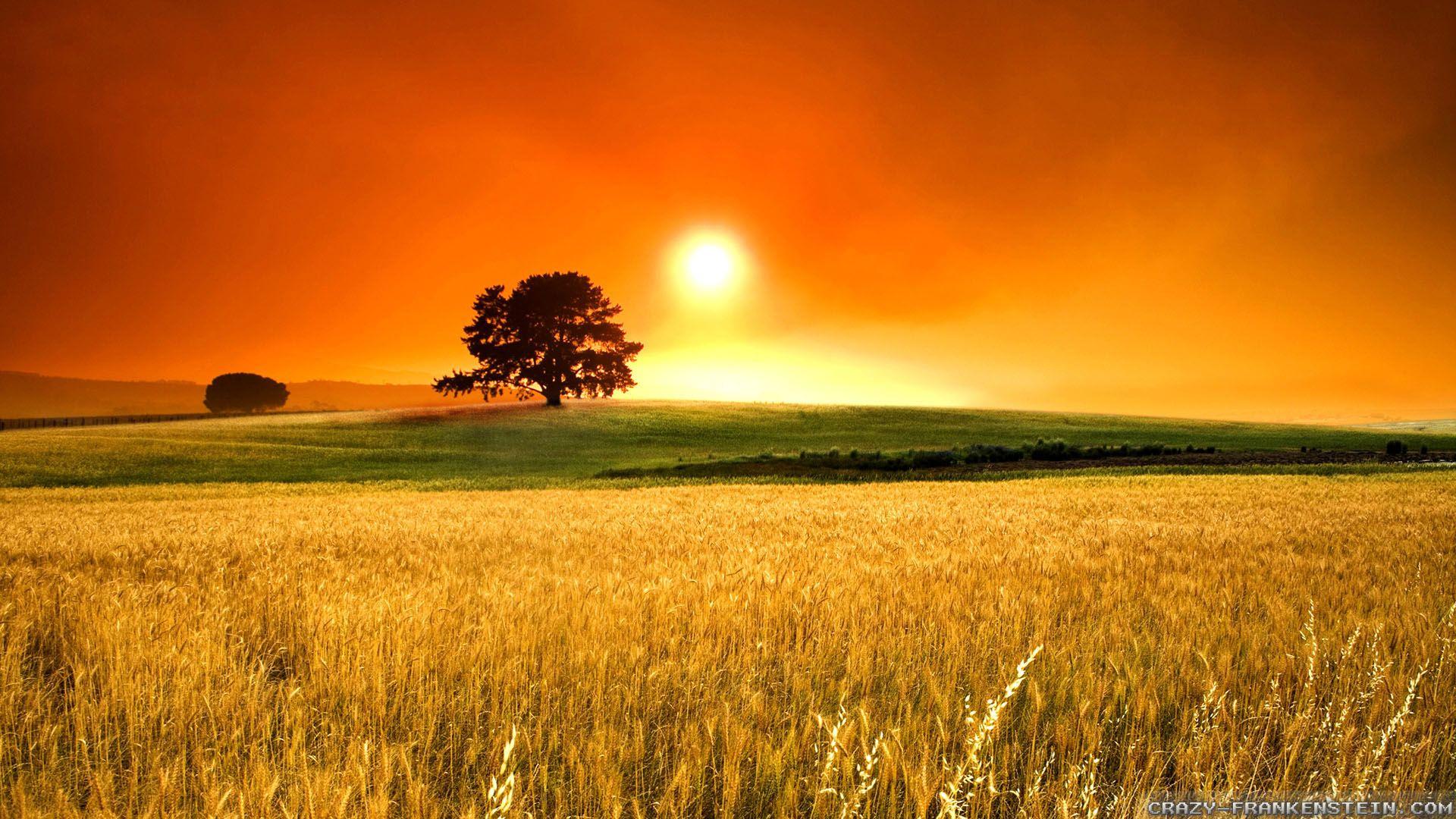 Summer Day Wallpapers - Top Free Summer Day Backgrounds - WallpaperAccess