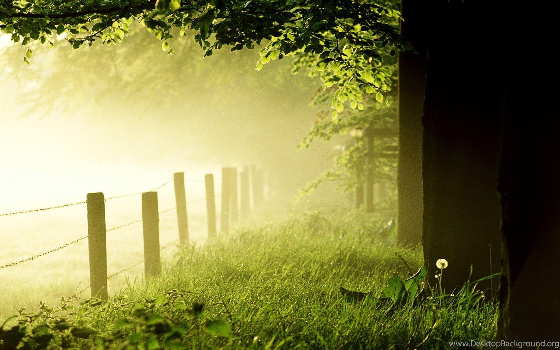 Summer Day Wallpapers - Top Free Summer Day Backgrounds - WallpaperAccess