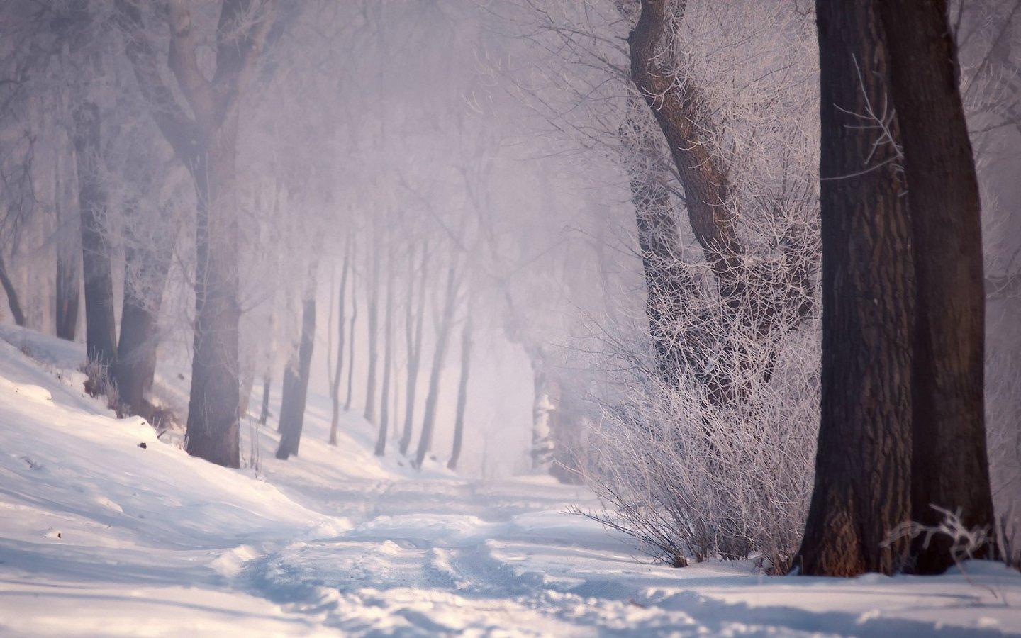 1440X900 Winter Wallpapers - Top Free 1440X900 Winter Backgrounds ...