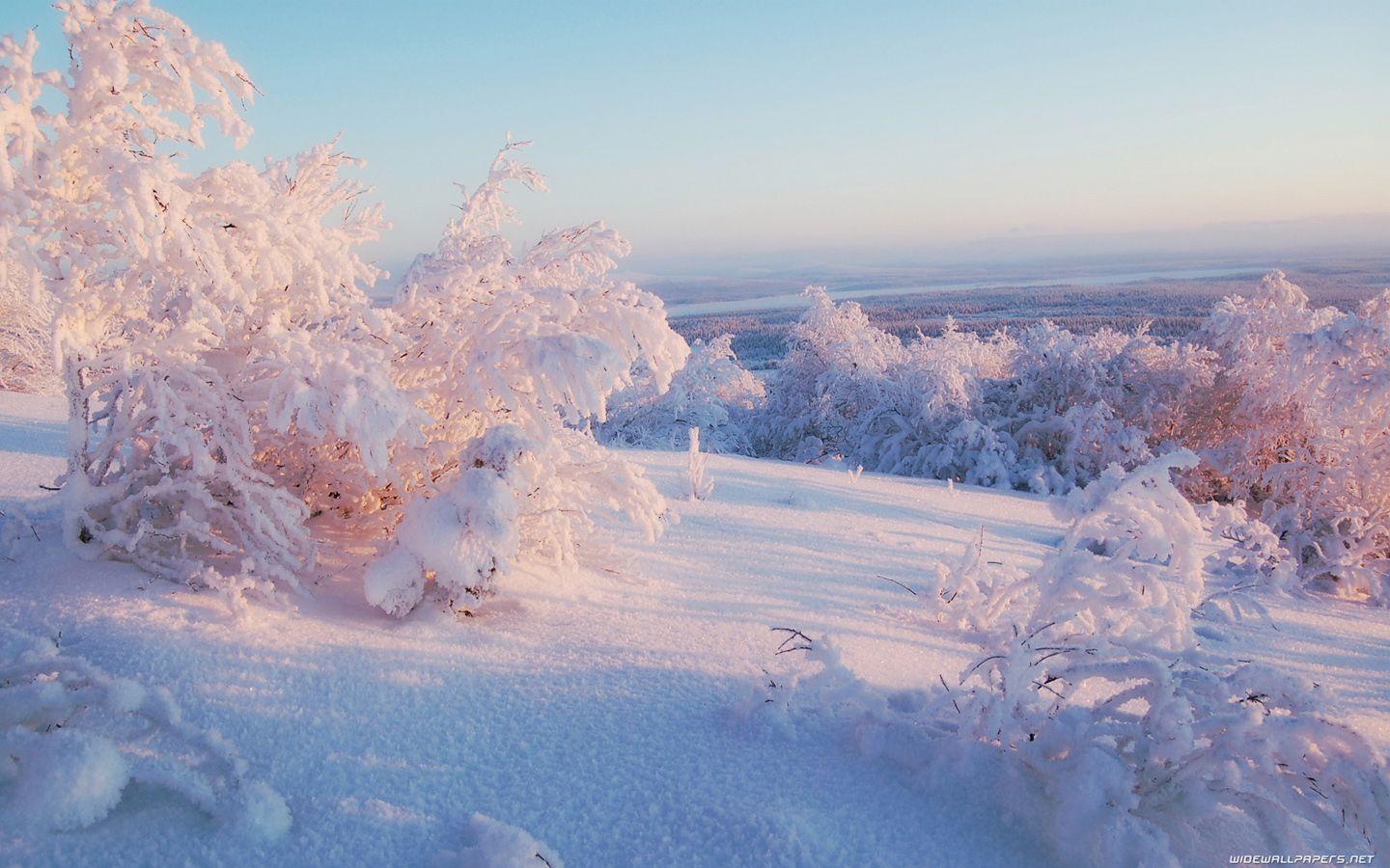 1440X900 Winter Wallpapers - Top Free 1440X900 Winter Backgrounds ...