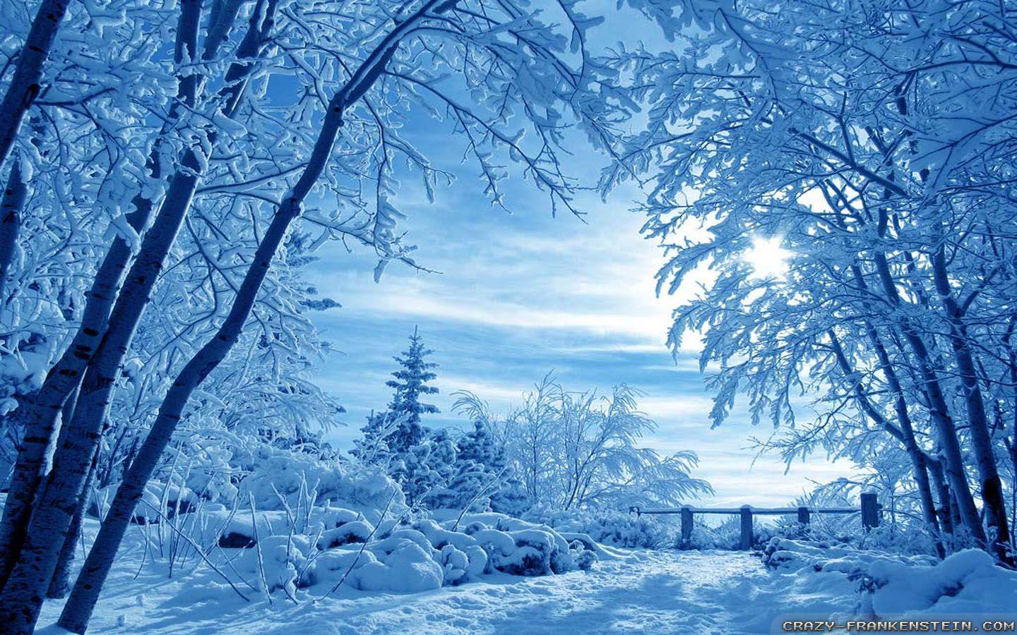 1440X900 Winter Wallpapers - Top Free 1440X900 Winter Backgrounds ...
