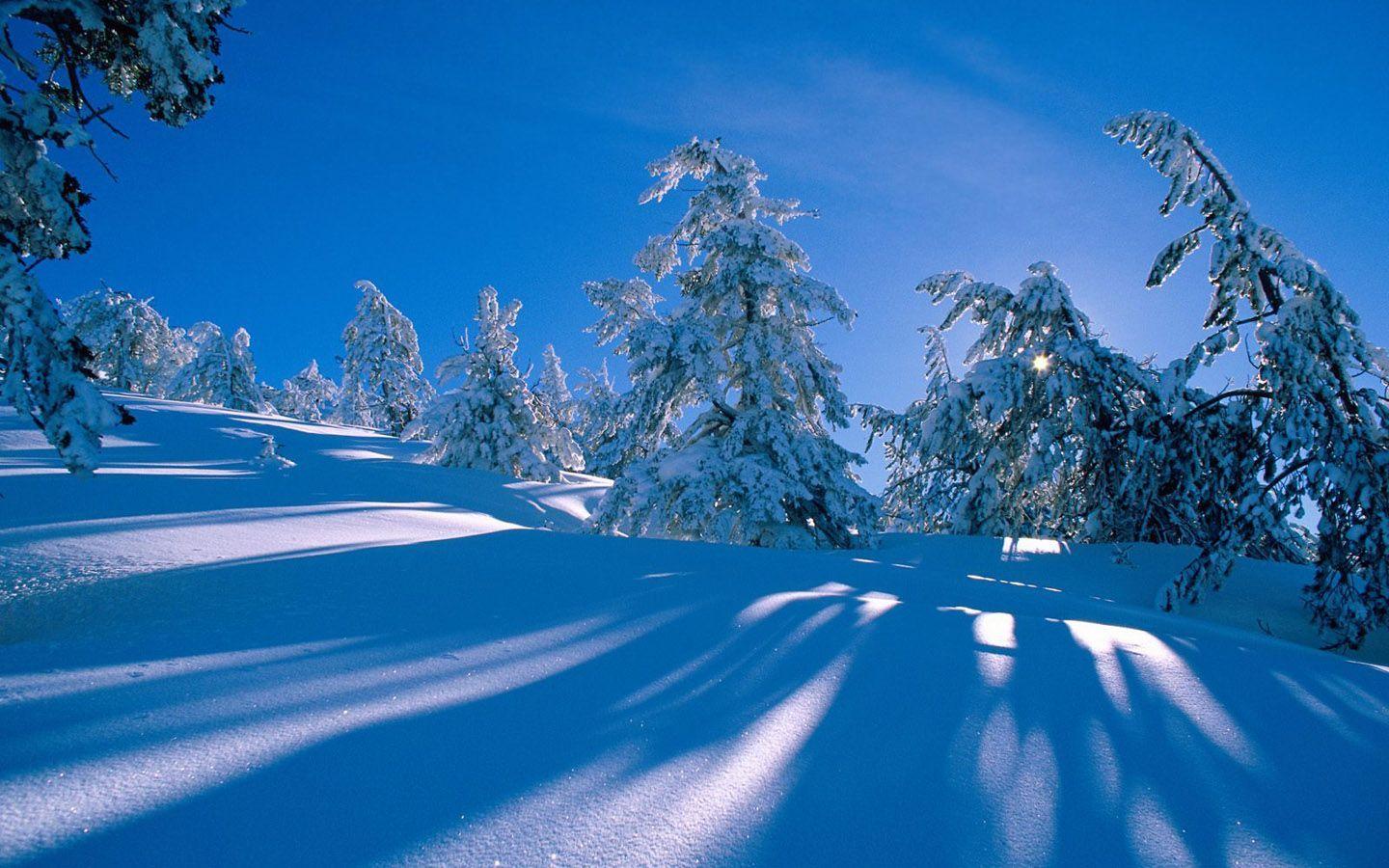 1440X900 Winter Wallpapers - Top Free 1440X900 Winter Backgrounds ...
