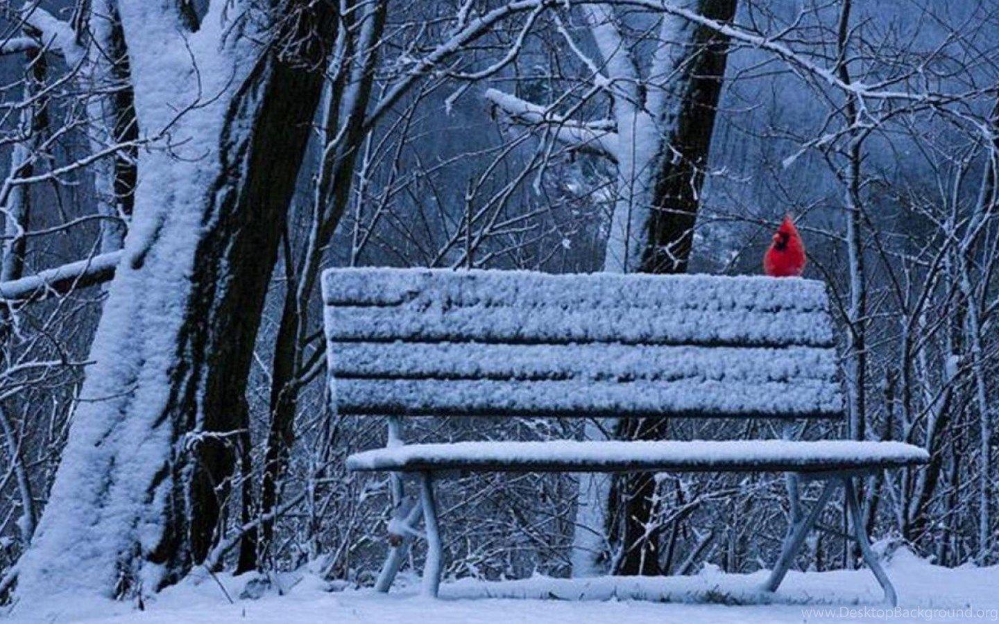 1440X900 Winter Wallpapers - Top Free 1440X900 Winter Backgrounds ...