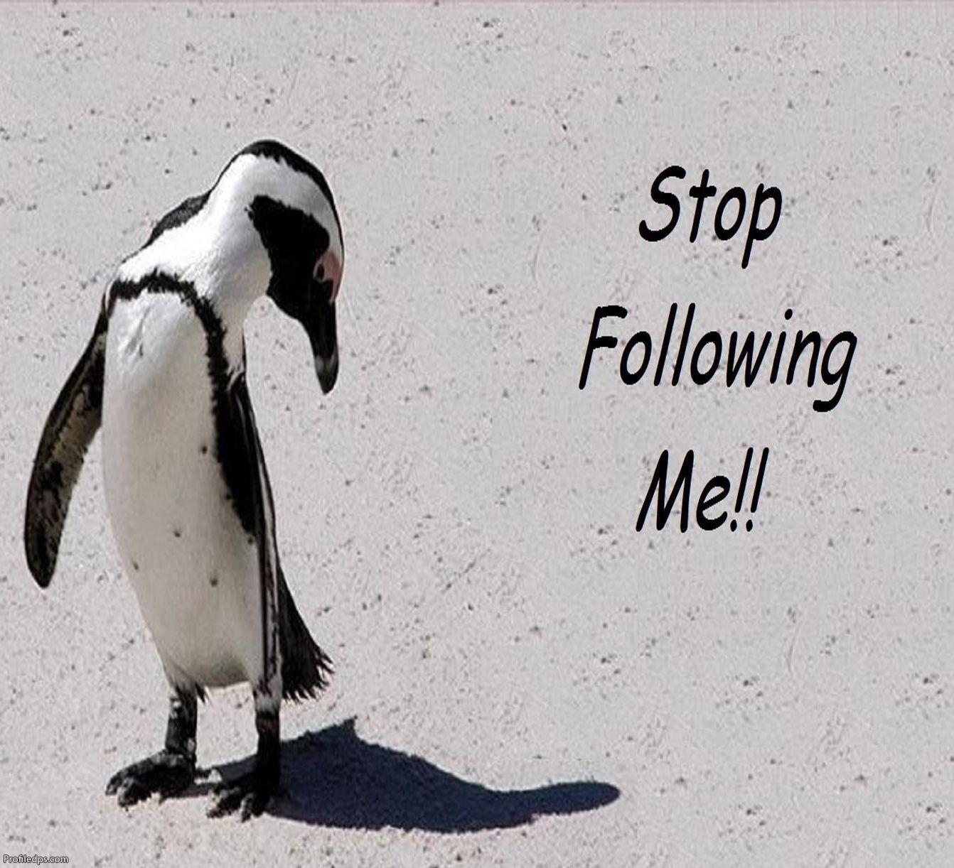 Tumblr Funny Wallpapers - Top Free Tumblr Funny Backgrounds ...