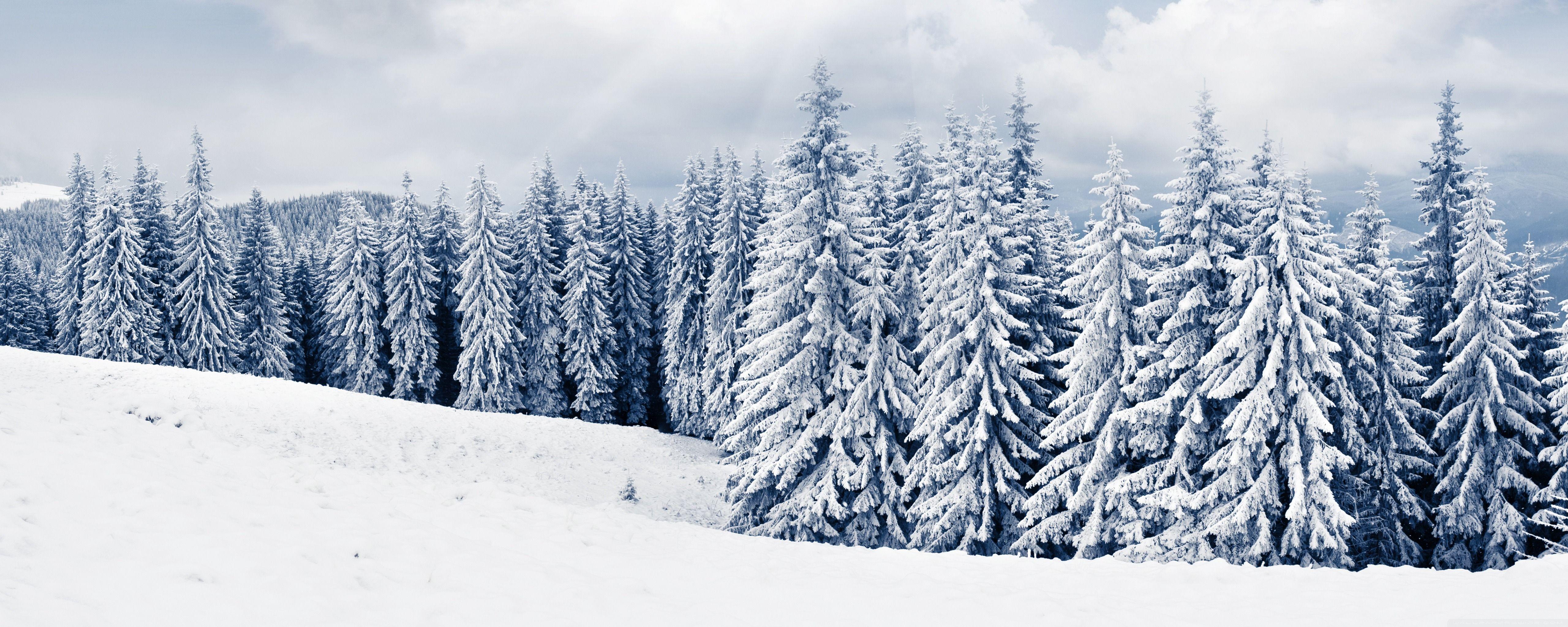 Snow Dual Monitor Wallpapers - Top Free Snow Dual Monitor Backgrounds ...