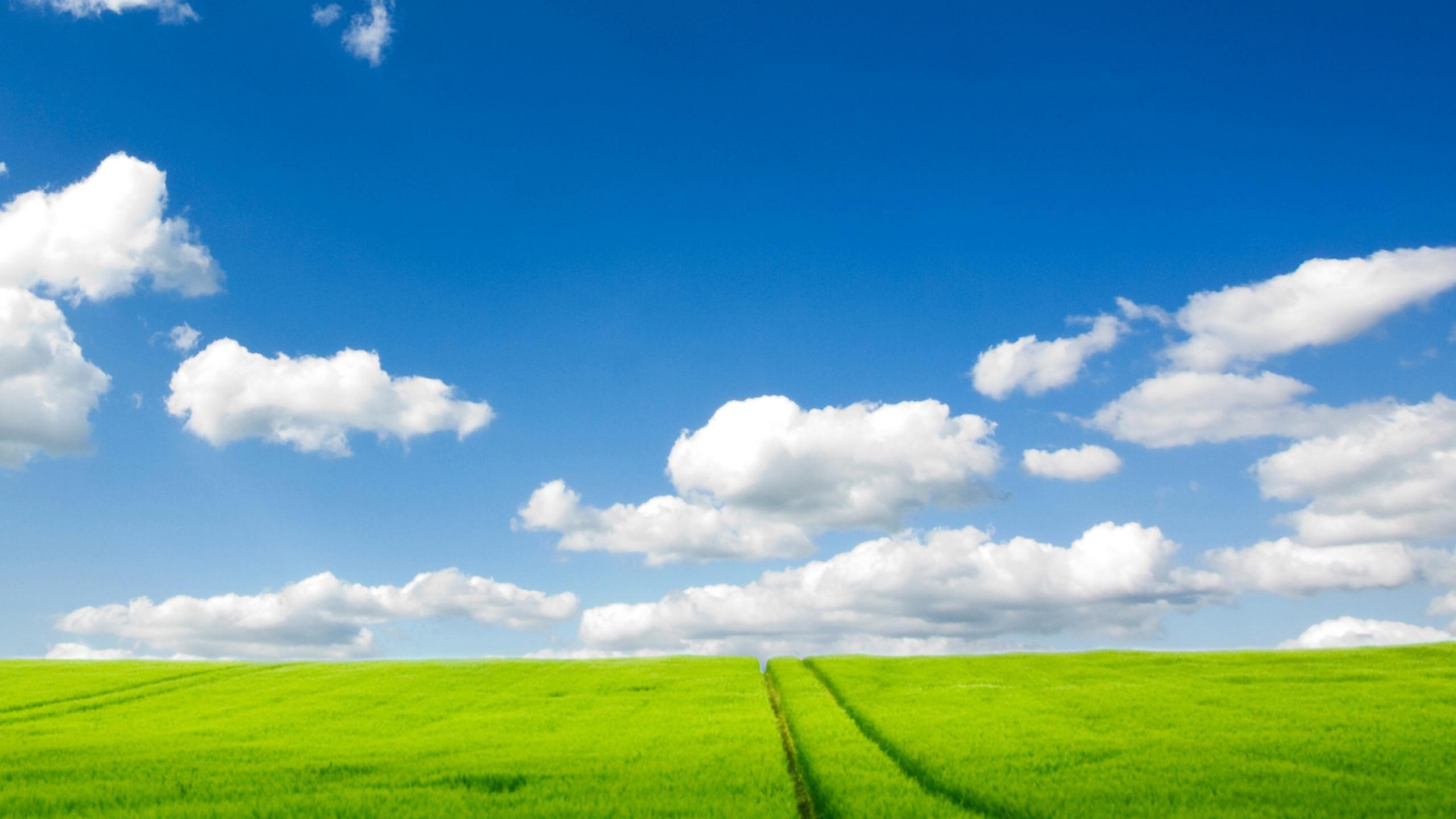 Summer Dual Monitor Wallpapers - Top Free Summer Dual Monitor ...