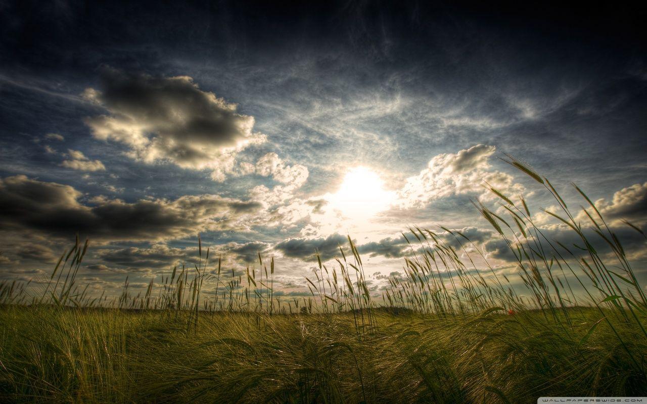 Summer Dual Monitor Wallpapers - Top Free Summer Dual Monitor ...