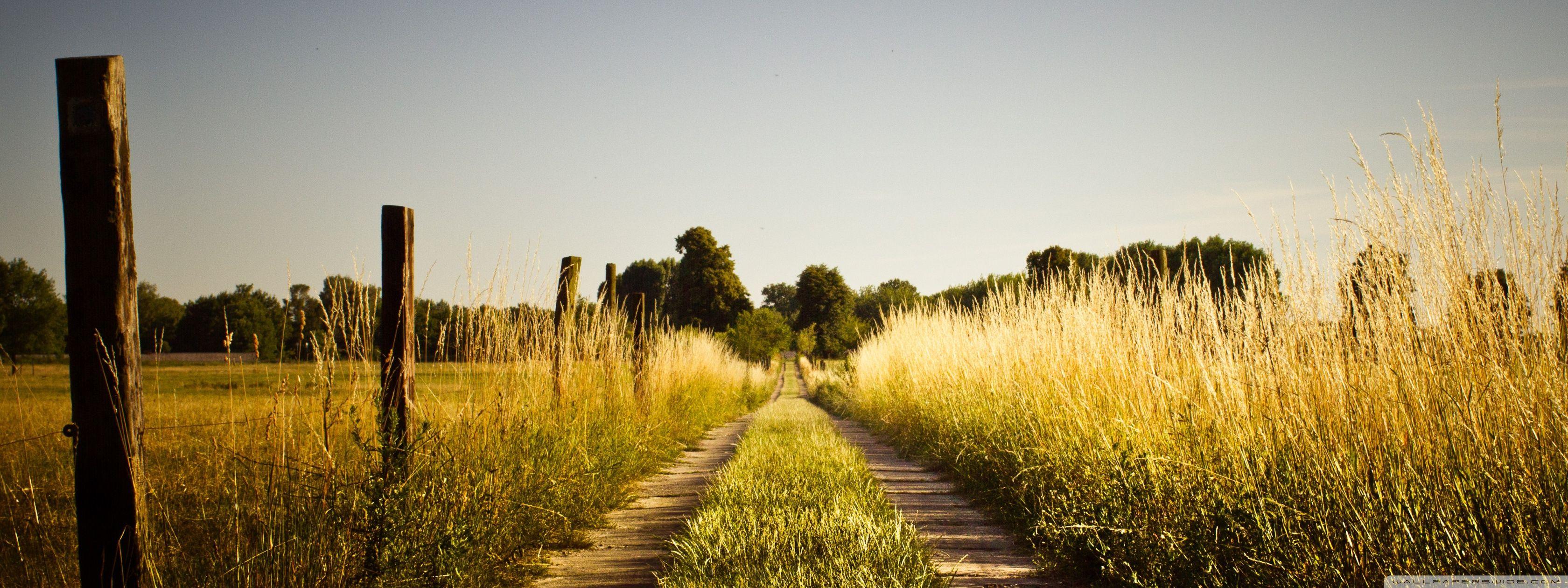 Summer Dual Monitor Wallpapers - Top Free Summer Dual Monitor ...