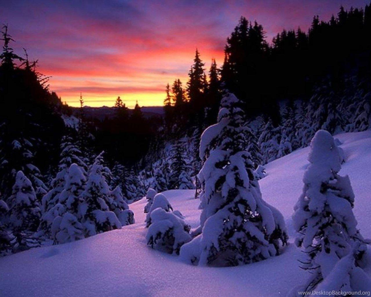 Purple Snow Wallpapers - Top Free Purple Snow Backgrounds - WallpaperAccess