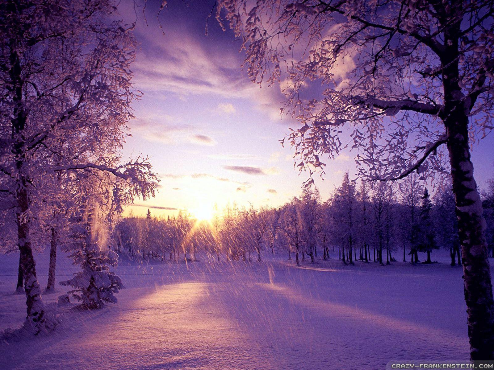 Purple Snow Wallpapers - Top Free Purple Snow Backgrounds - WallpaperAccess