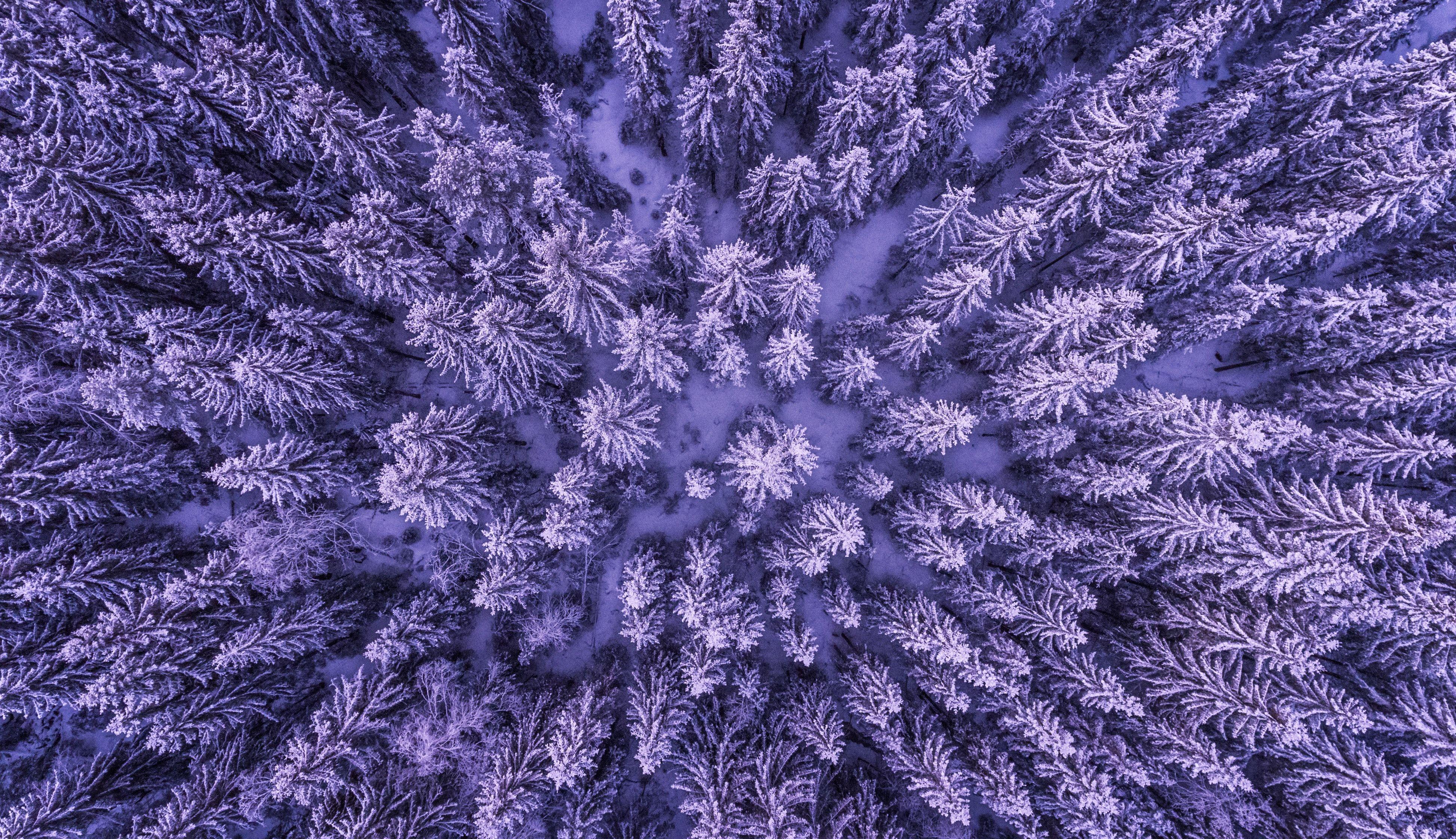 Purple Snow Wallpapers - Top Free Purple Snow Backgrounds - WallpaperAccess