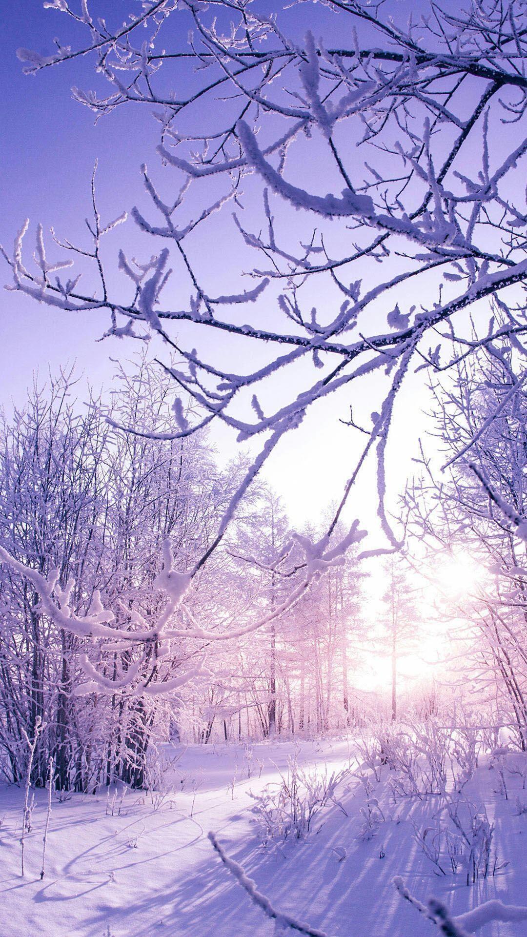 Purple Snow Wallpapers - Top Free Purple Snow Backgrounds - WallpaperAccess