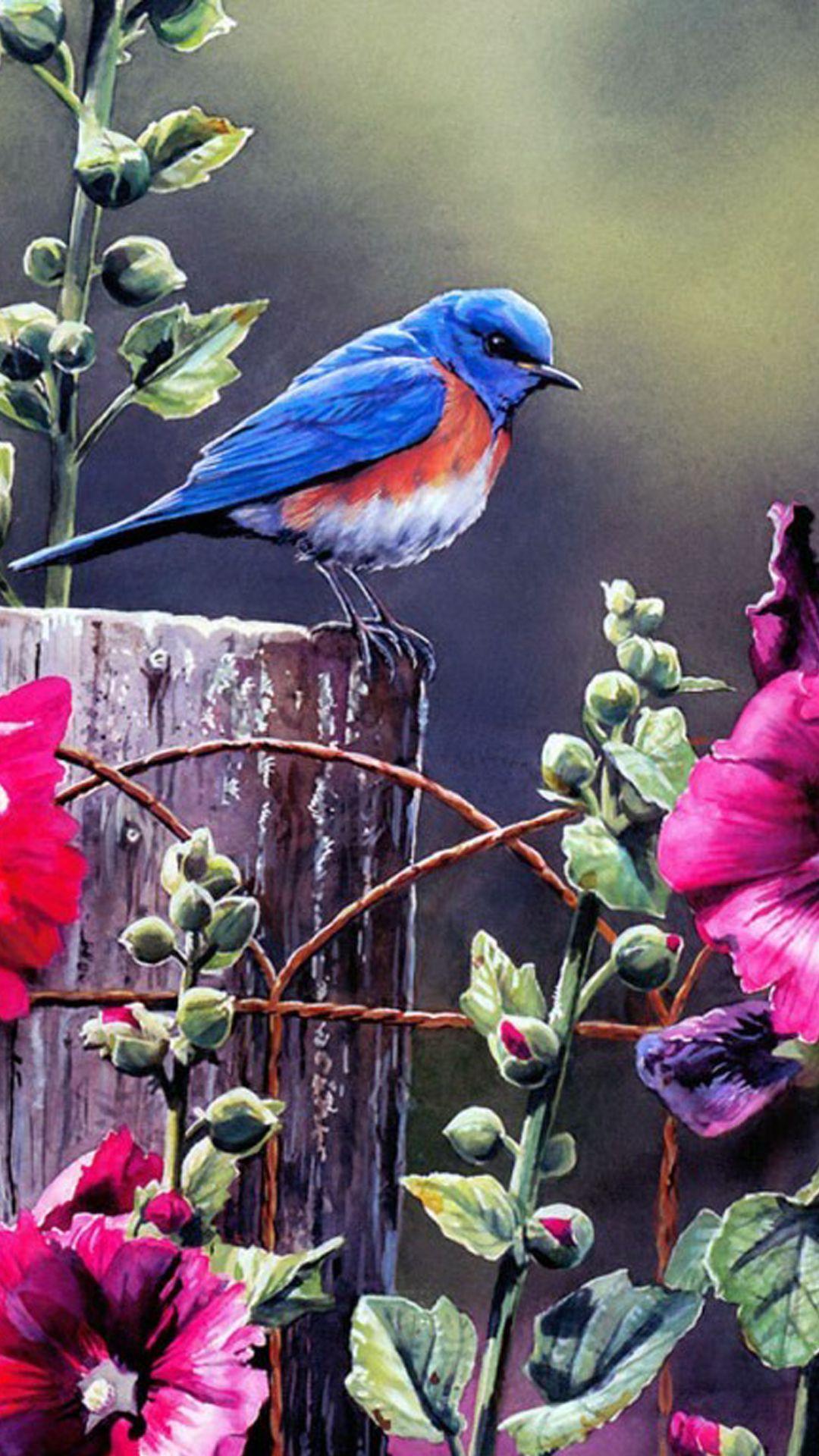 Blue Spring Flowers iPhone Wallpapers - Top Free Blue Spring Flowers ...