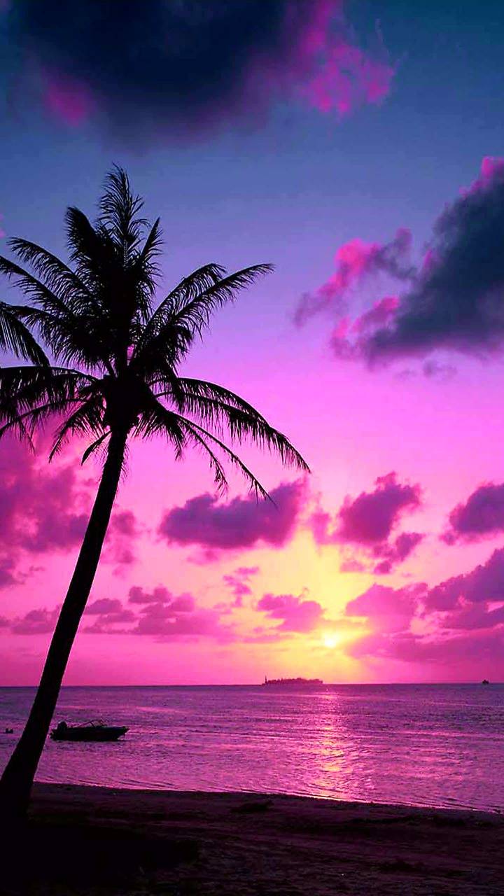 Purple Tropical Sunset Beach Wallpapers - Top Free Purple Tropical ...