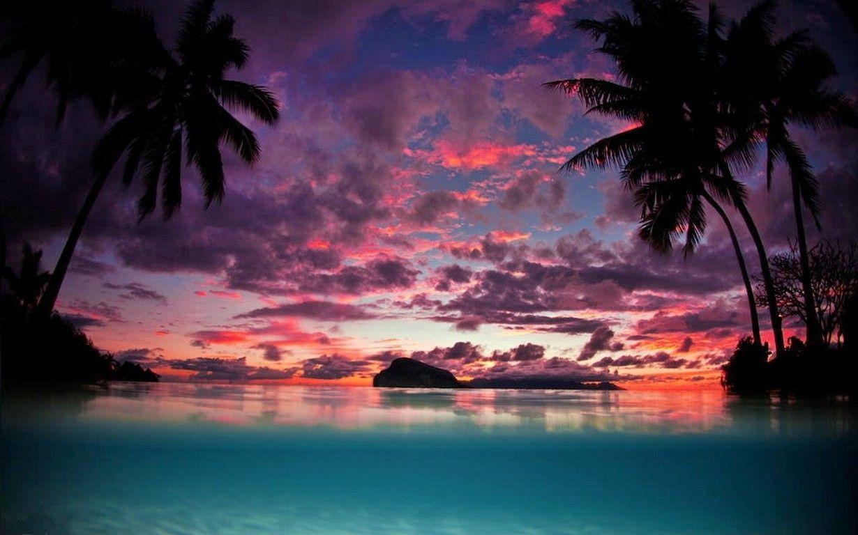 Purple Tropical Sunset Beach Wallpapers - Top Free Purple Tropical ...