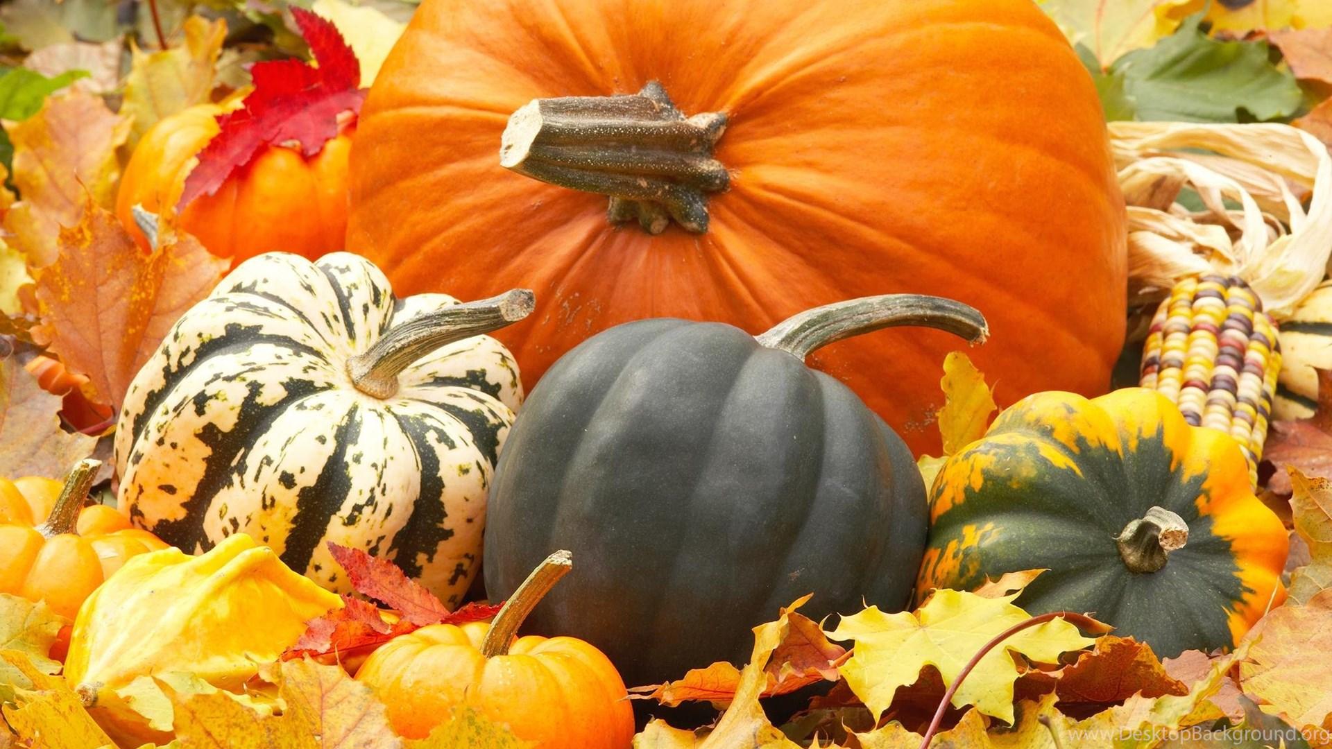 Autumn Pumpkin Desktop Wallpapers - Top Free Autumn Pumpkin Desktop ...