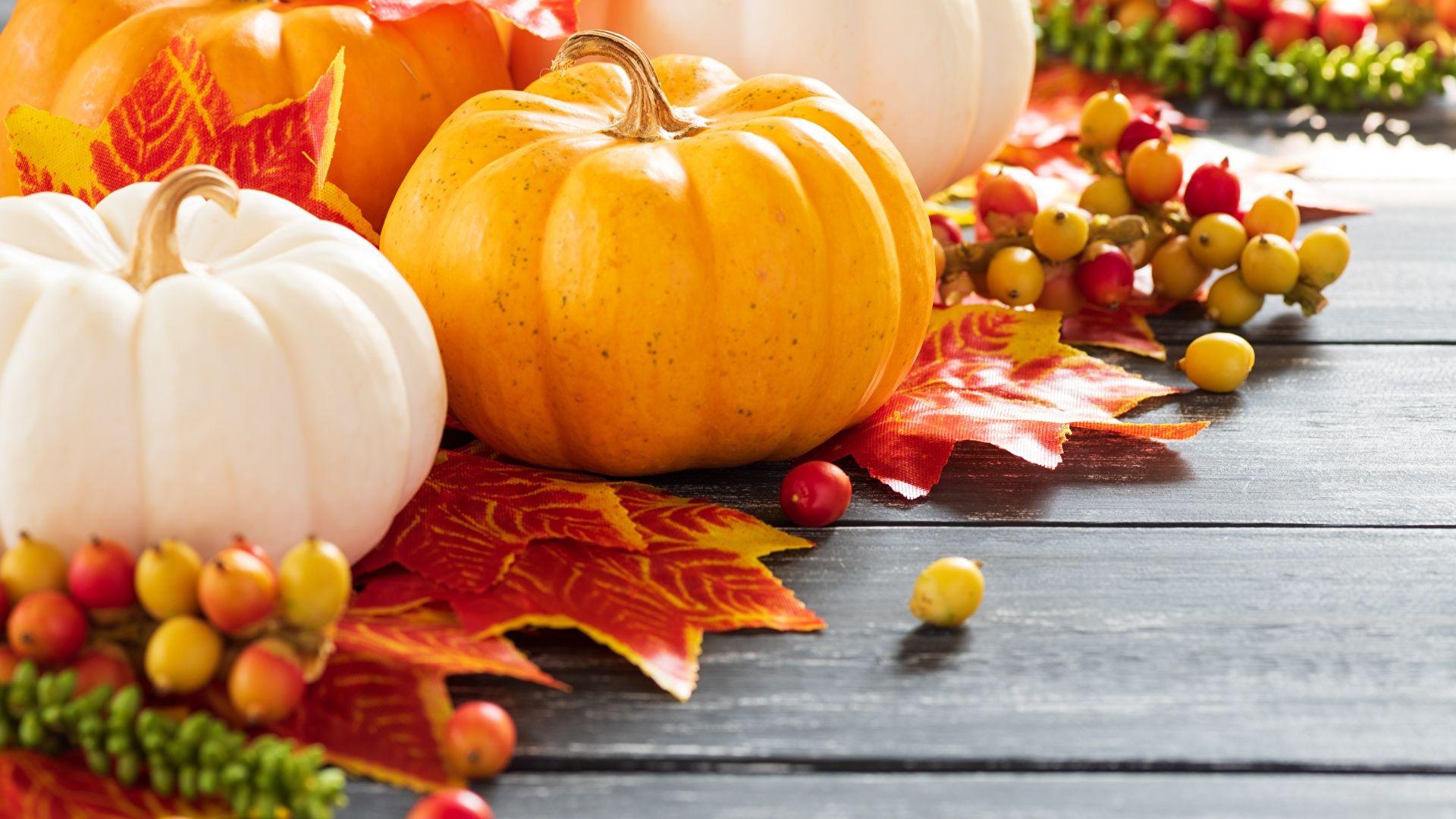 Autumn Pumpkin Desktop Wallpapers - Top Free Autumn Pumpkin Desktop ...