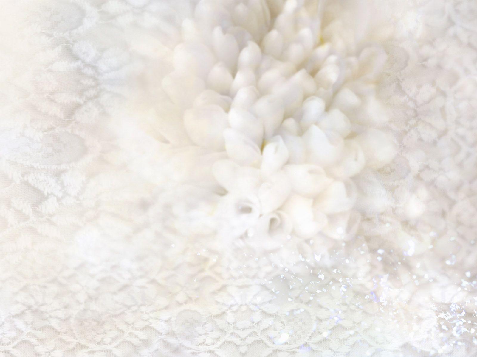 Wedding Computer Wallpapers - Top Free Wedding Computer Backgrounds ...