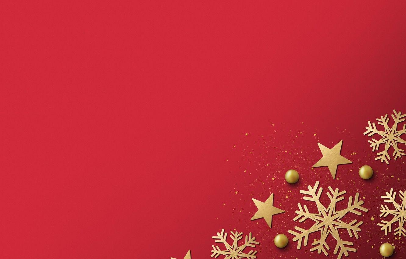 Winter Red Wallpapers - Top Free Winter Red Backgrounds - WallpaperAccess