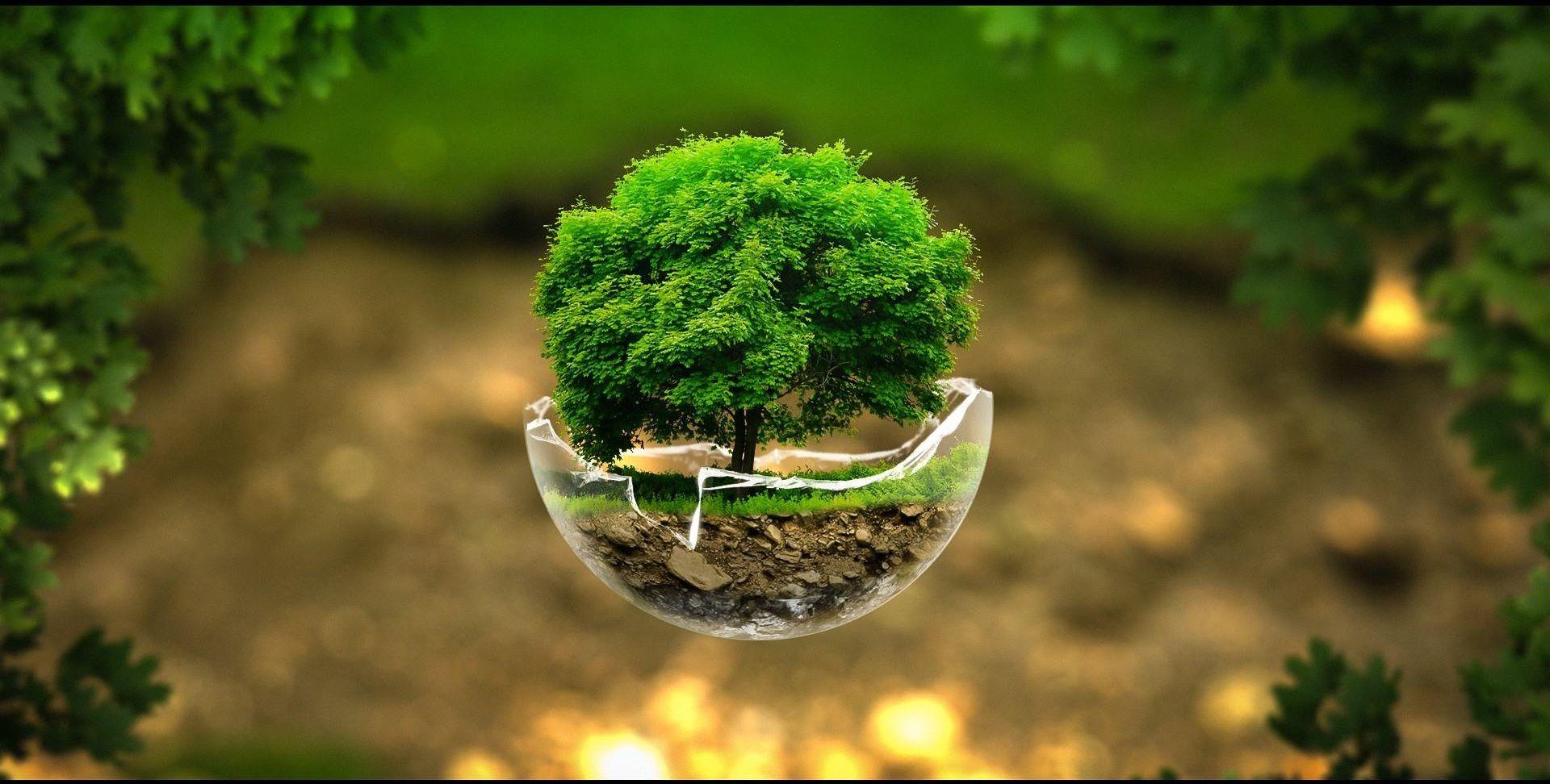 Focused Wallpapers - Top Free Focused Backgrounds - WallpaperAccess