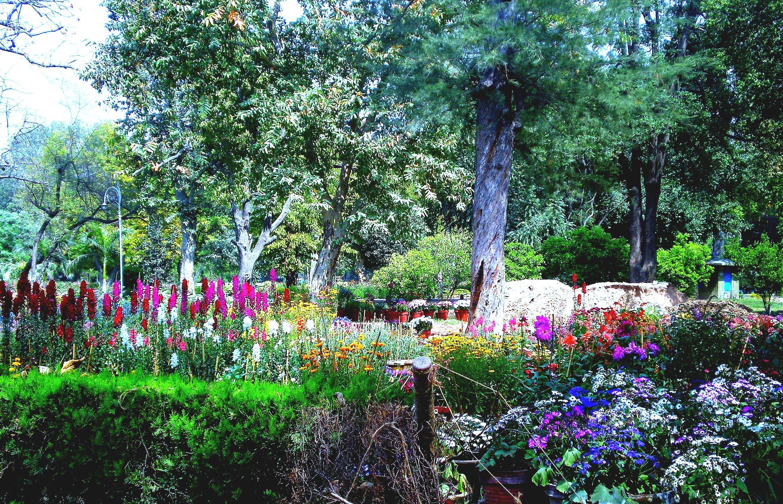 Spring Garden Desktop Wallpapers - Top Free Spring Garden Desktop ...