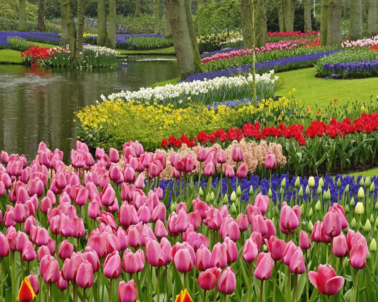 Spring Garden Desktop Wallpapers - Top Free Spring Garden Desktop ...